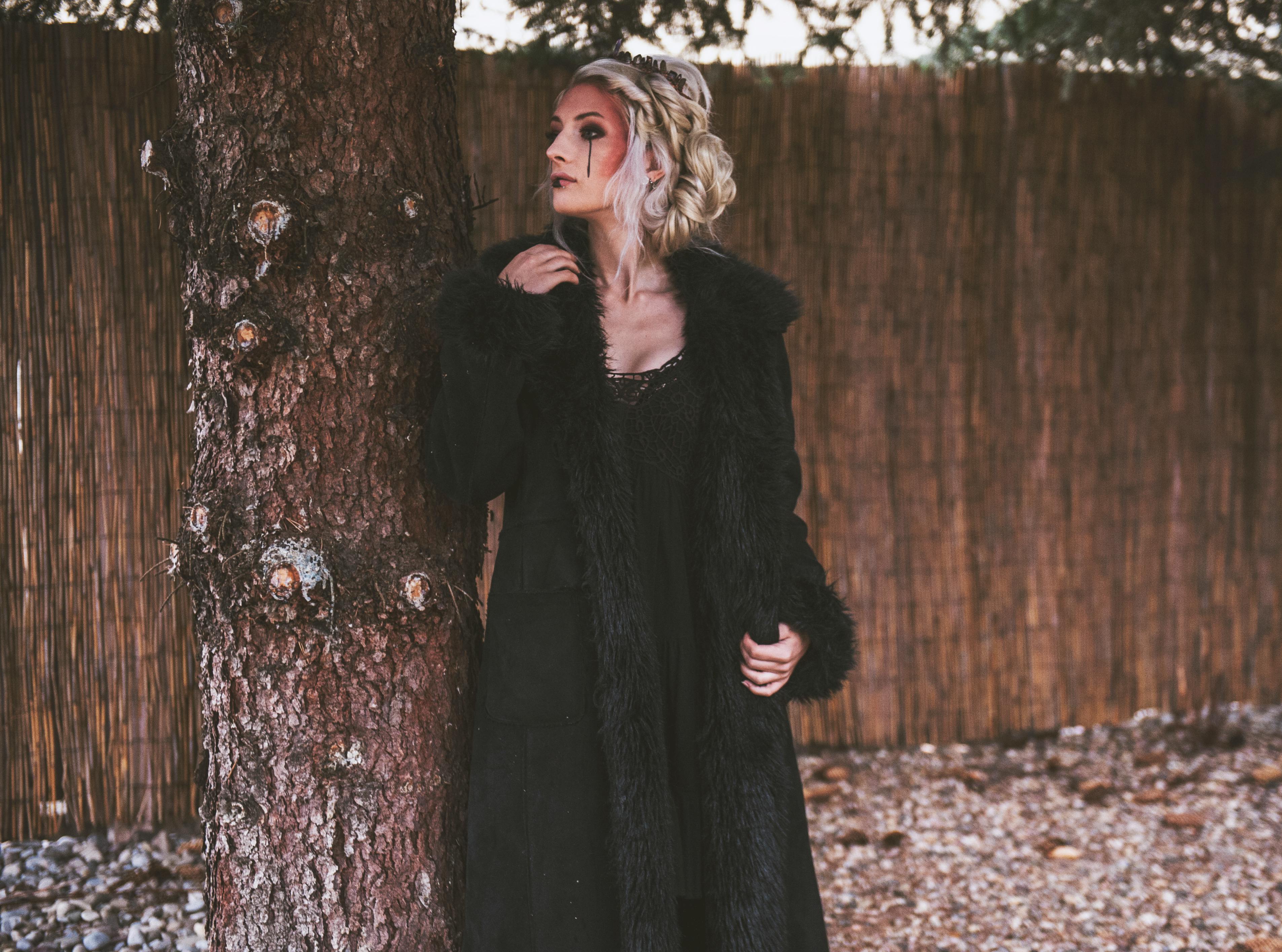 Women Standing Under a Tree · Free Stock Photo