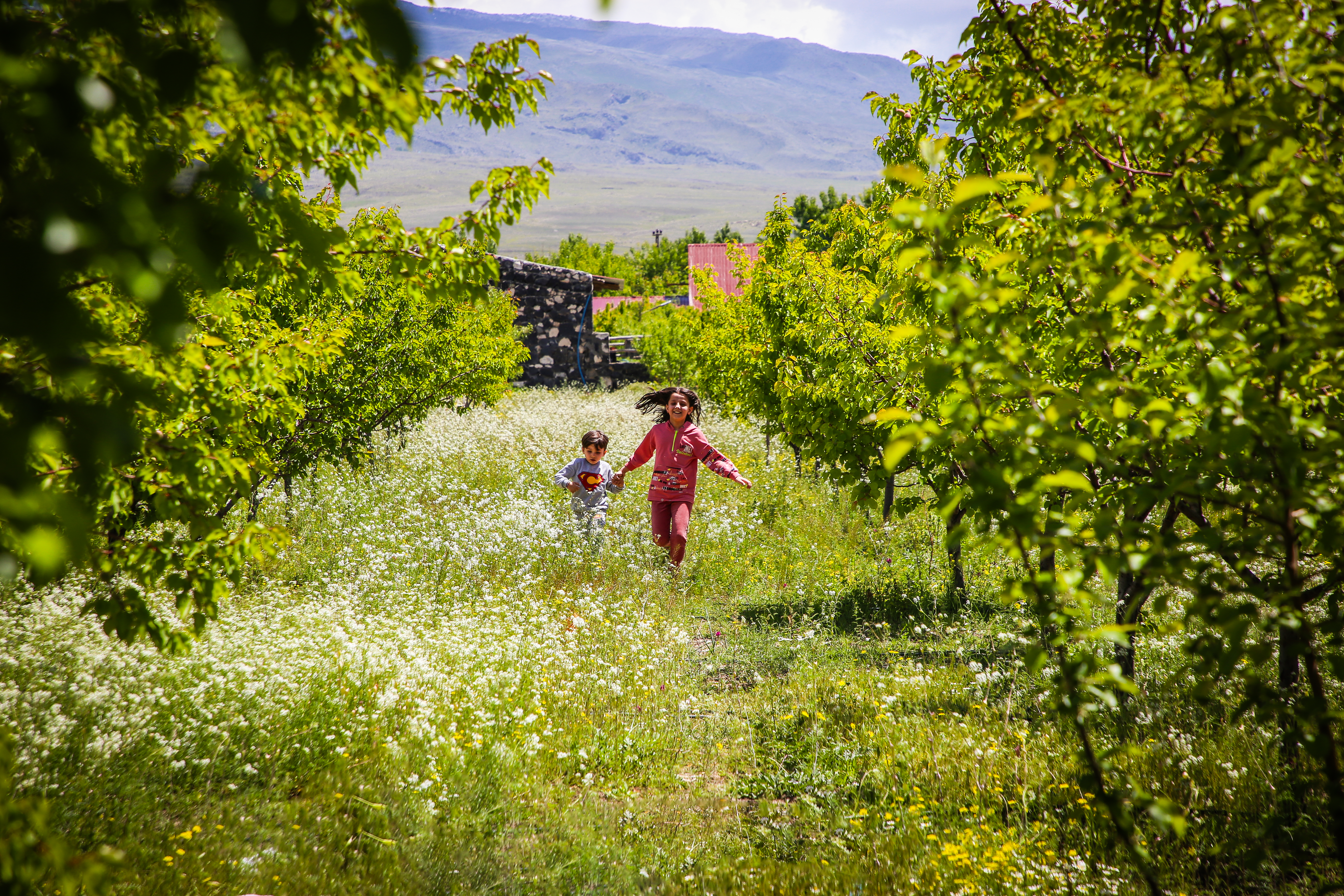 Girls Running on Green Grass Field · Free Stock Photo