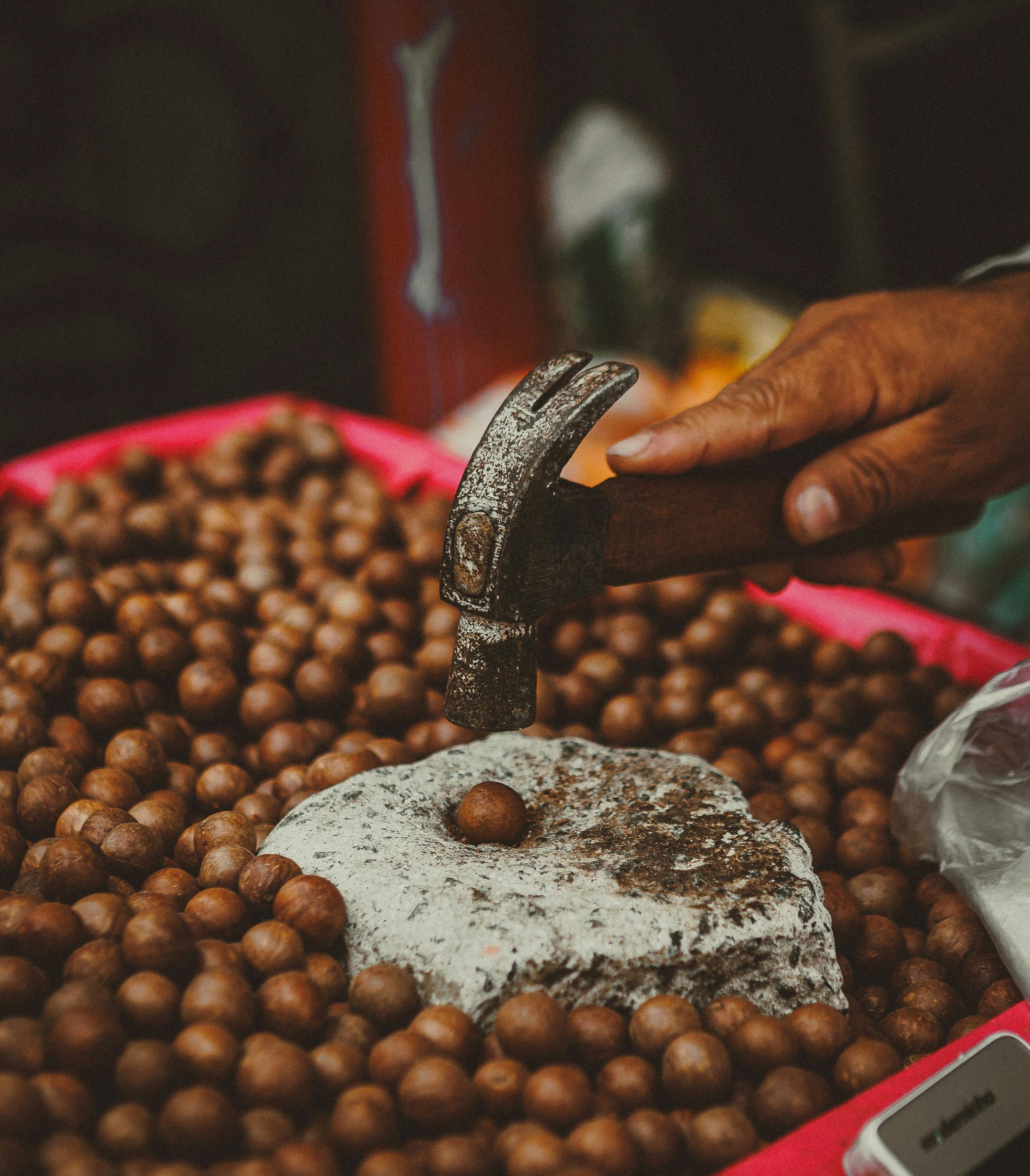 Nick Souza - Photography