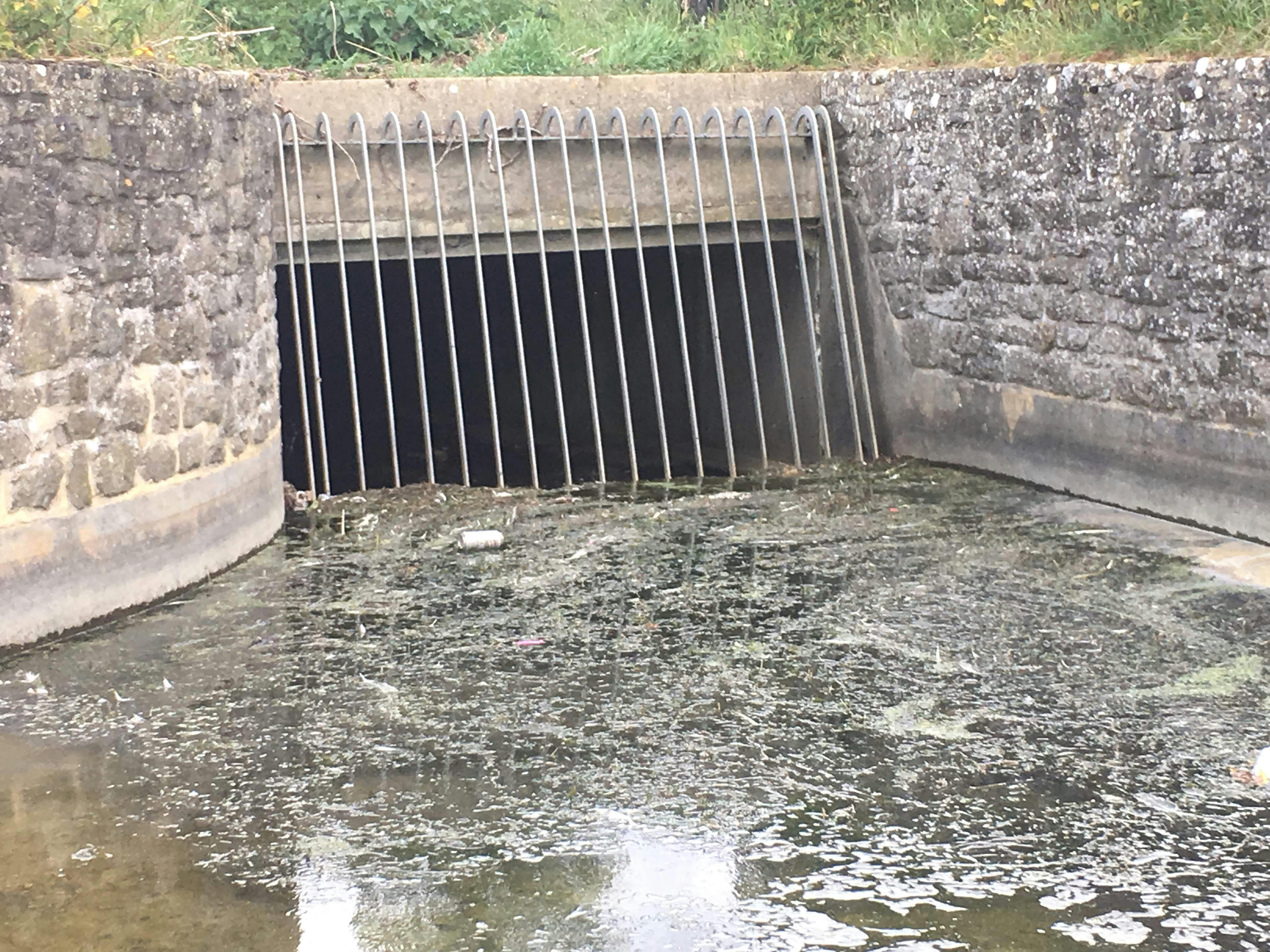 Display photography 7 Photos & Videos Collected by Richard Hewitson