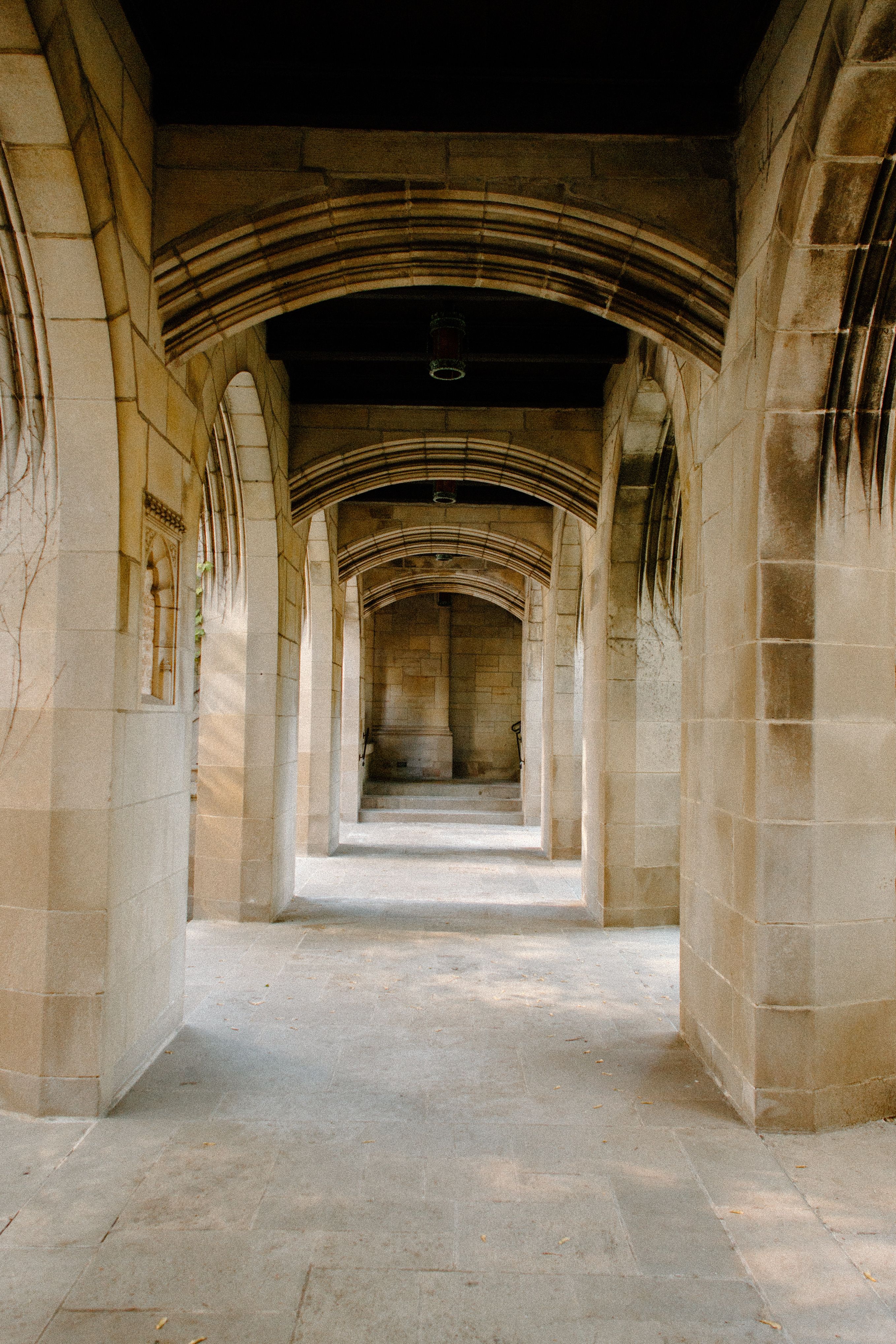 Madison Webb - Photography