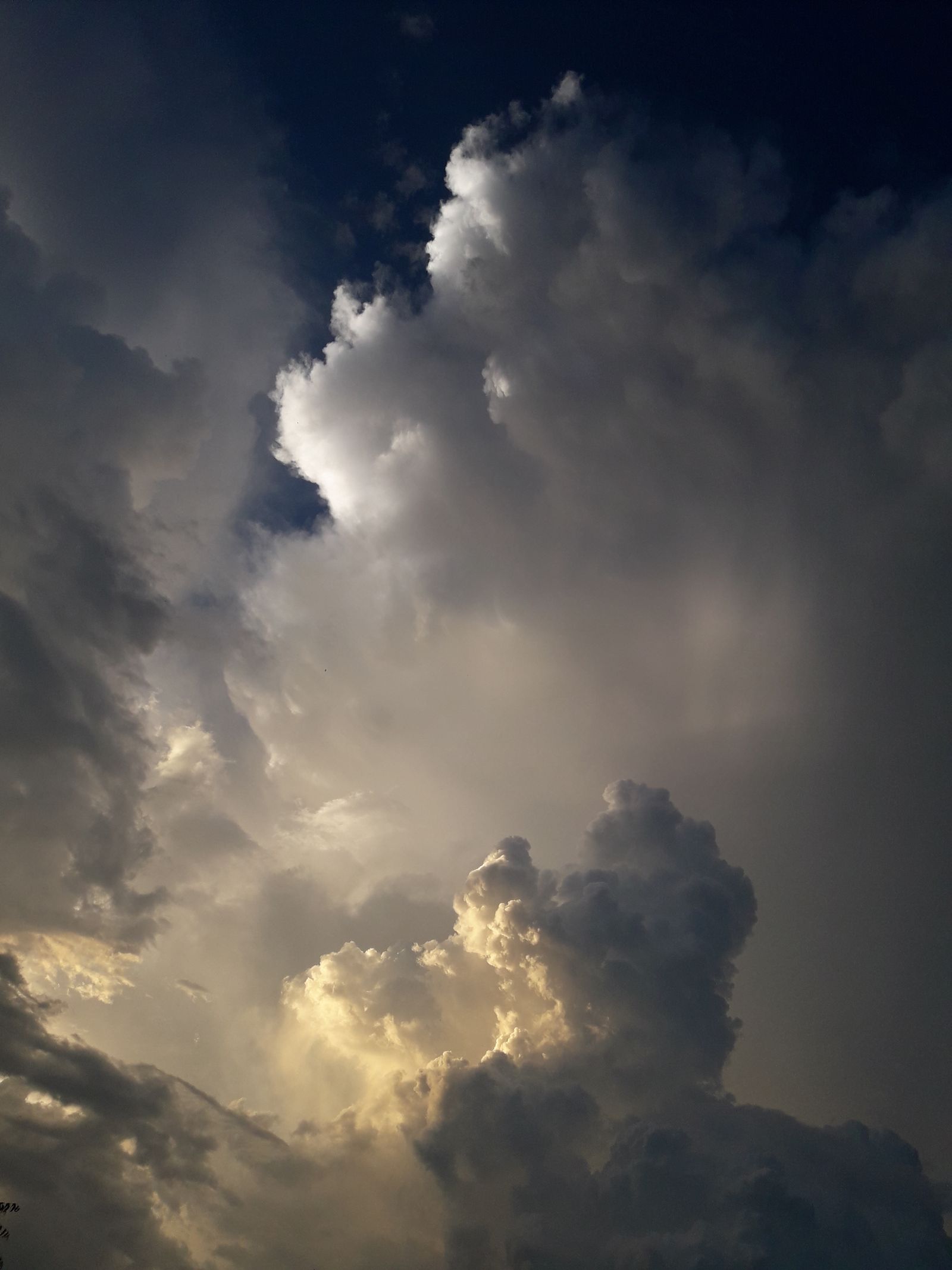 Cumulus Clouds Photos, Download The BEST Free Cumulus Clouds Stock ...