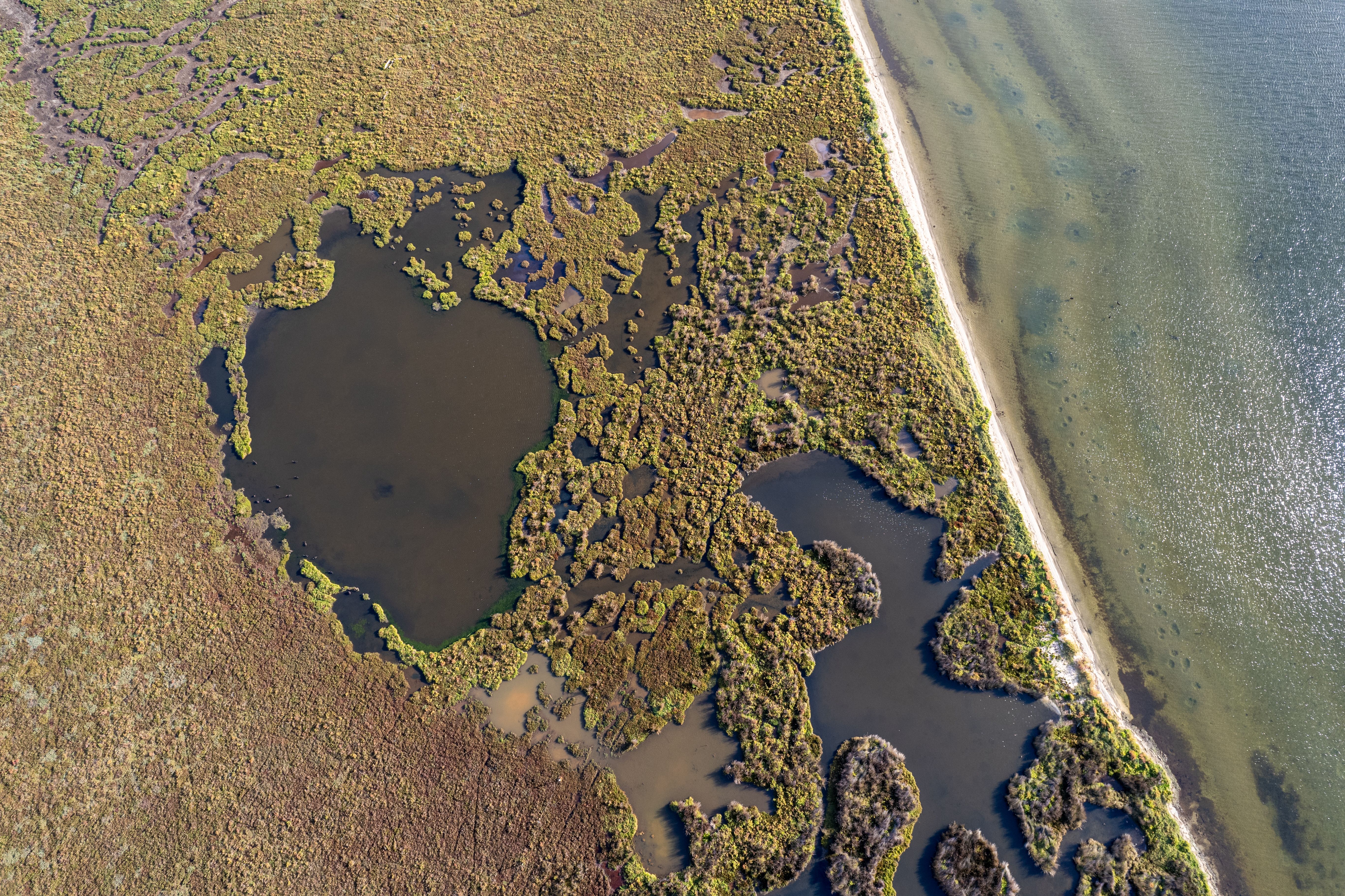 An aerial view of a marsh and a beach · Free Stock Photo