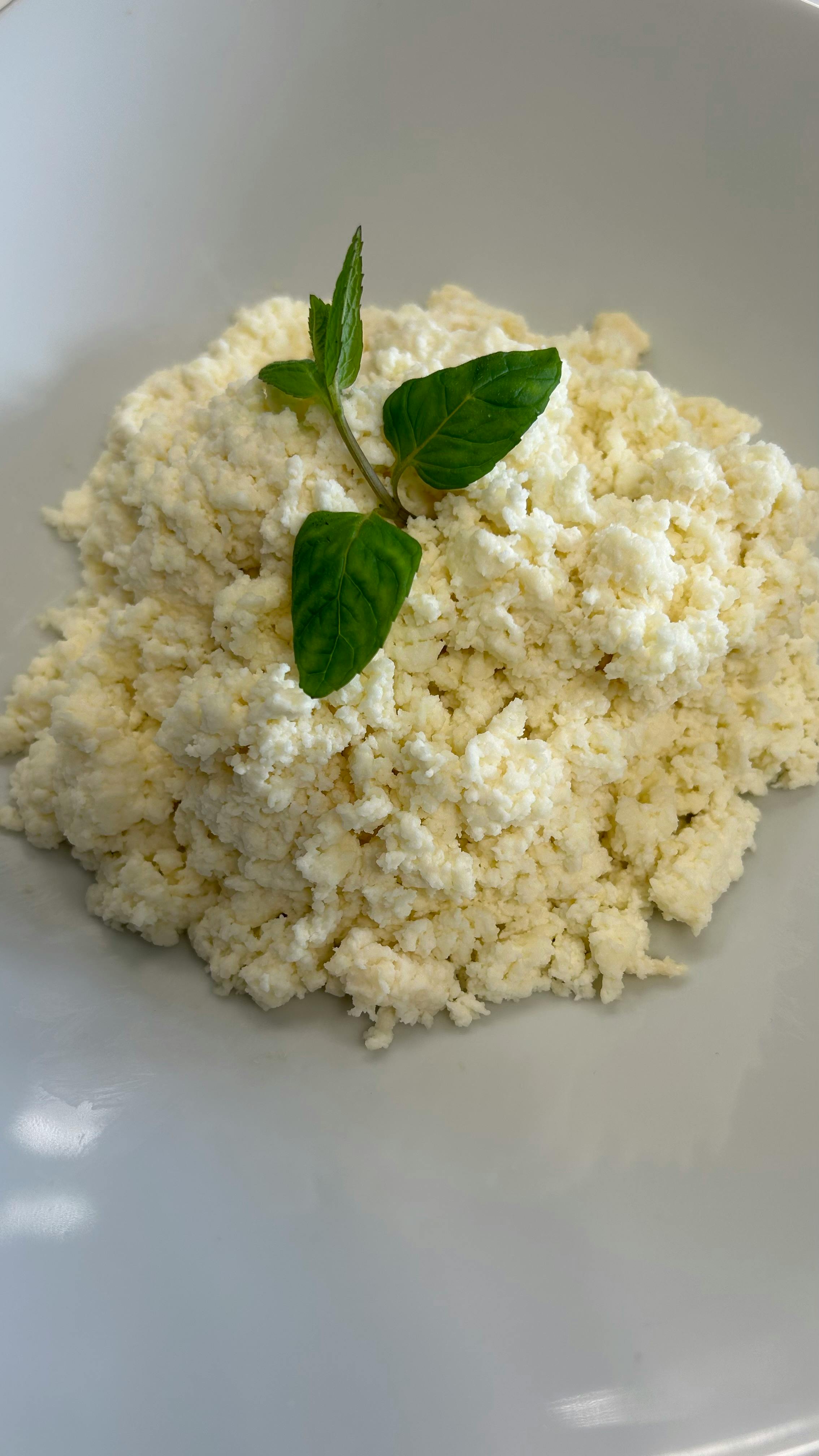 Artisan Cheese Making Techniques 5 Photos & Videos Collected by Aygnedalya