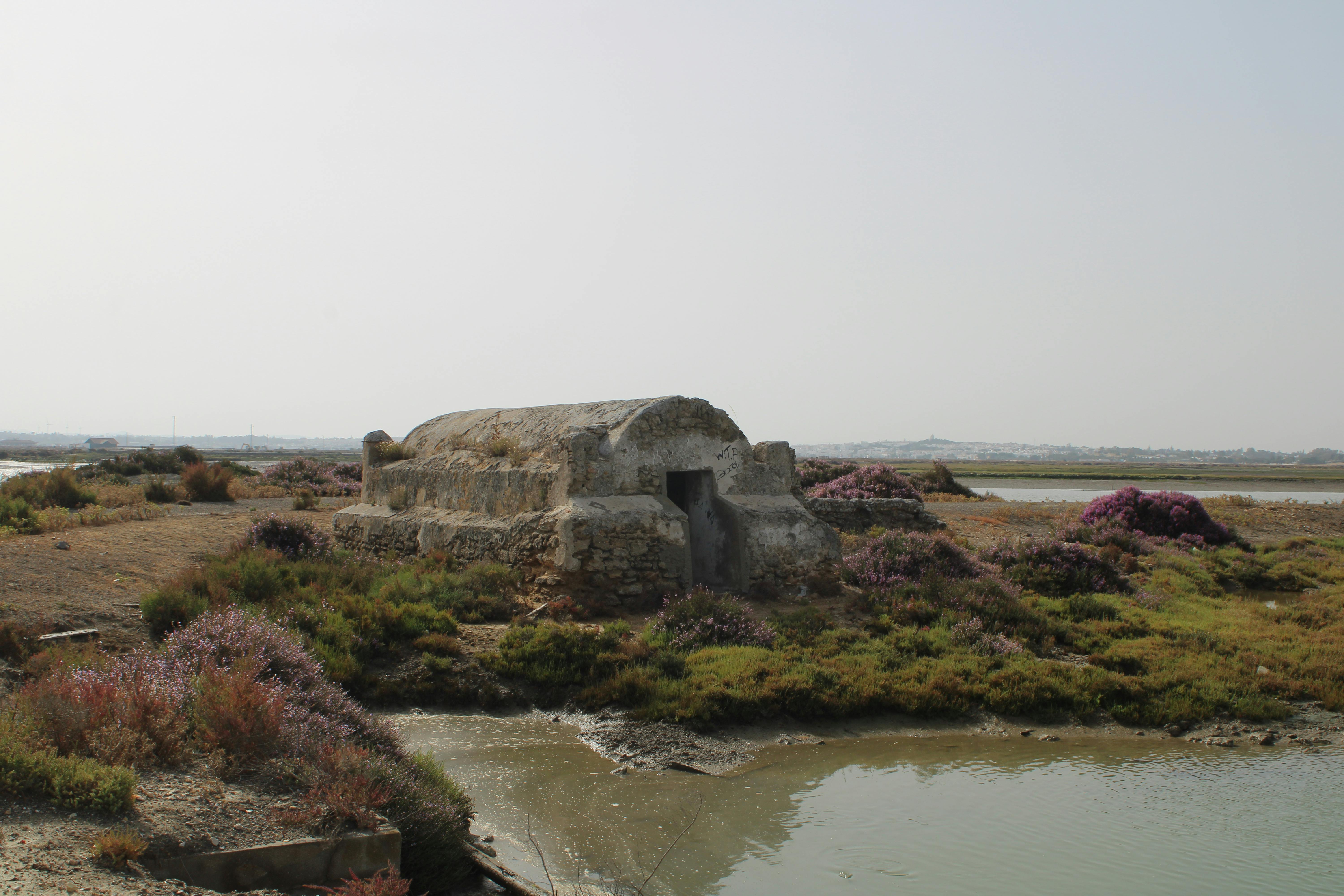 reducto de san judas 10 Photos & Videos Collected by Antonio Garcia Prats