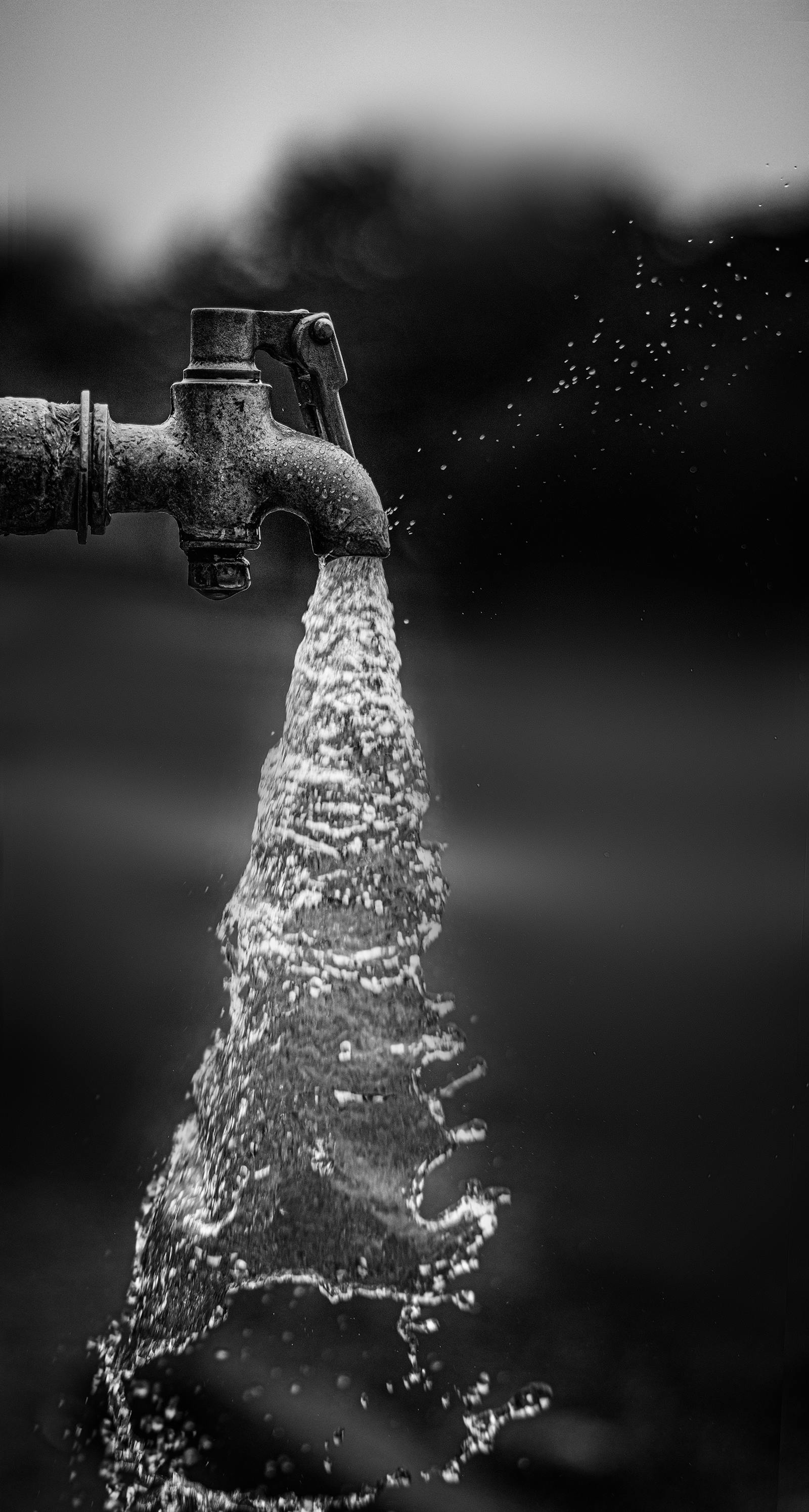 Tap Water Photos, Download The BEST Free Tap Water Stock Photos & HD Images