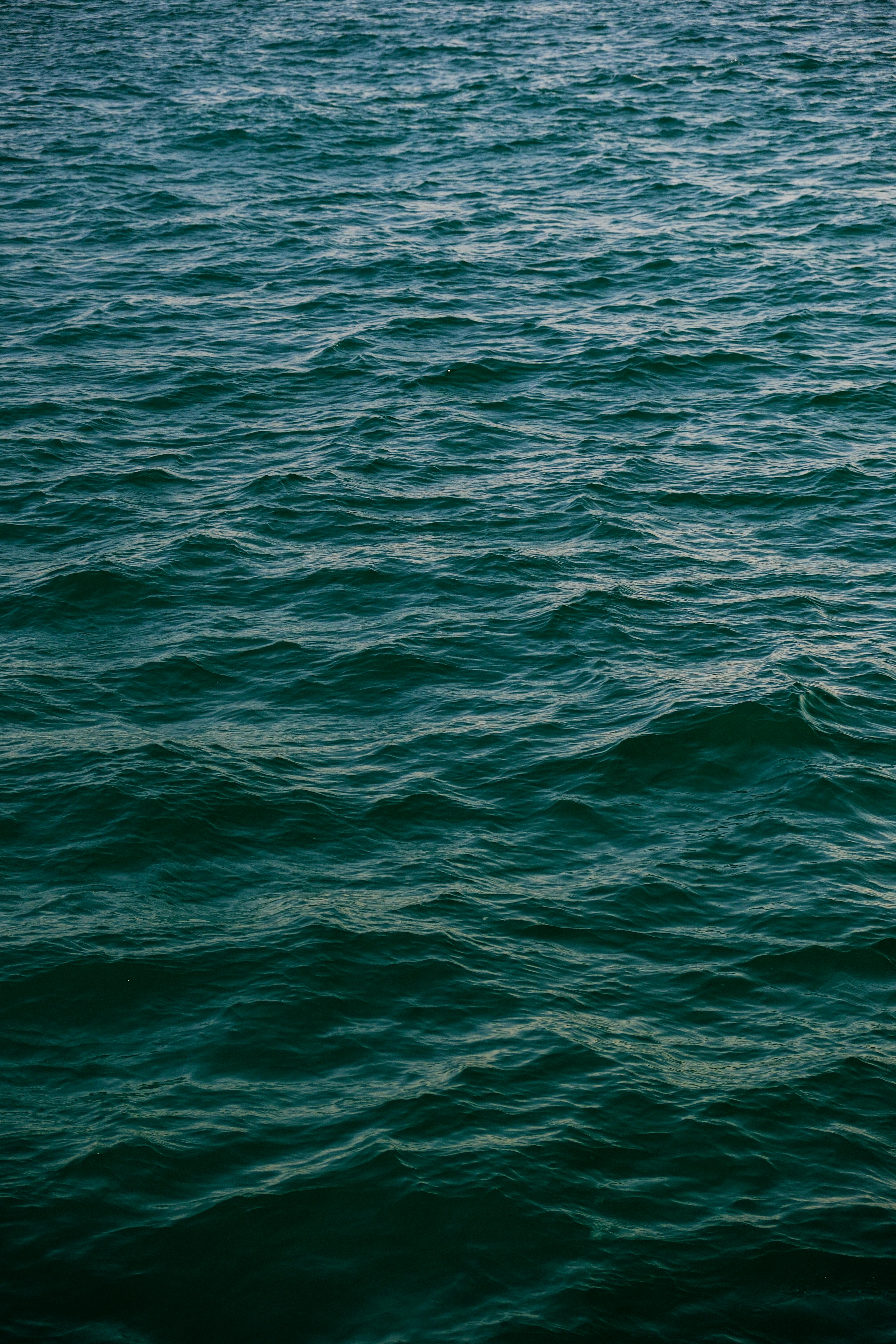 Blue Body of Water · Free Stock Photo