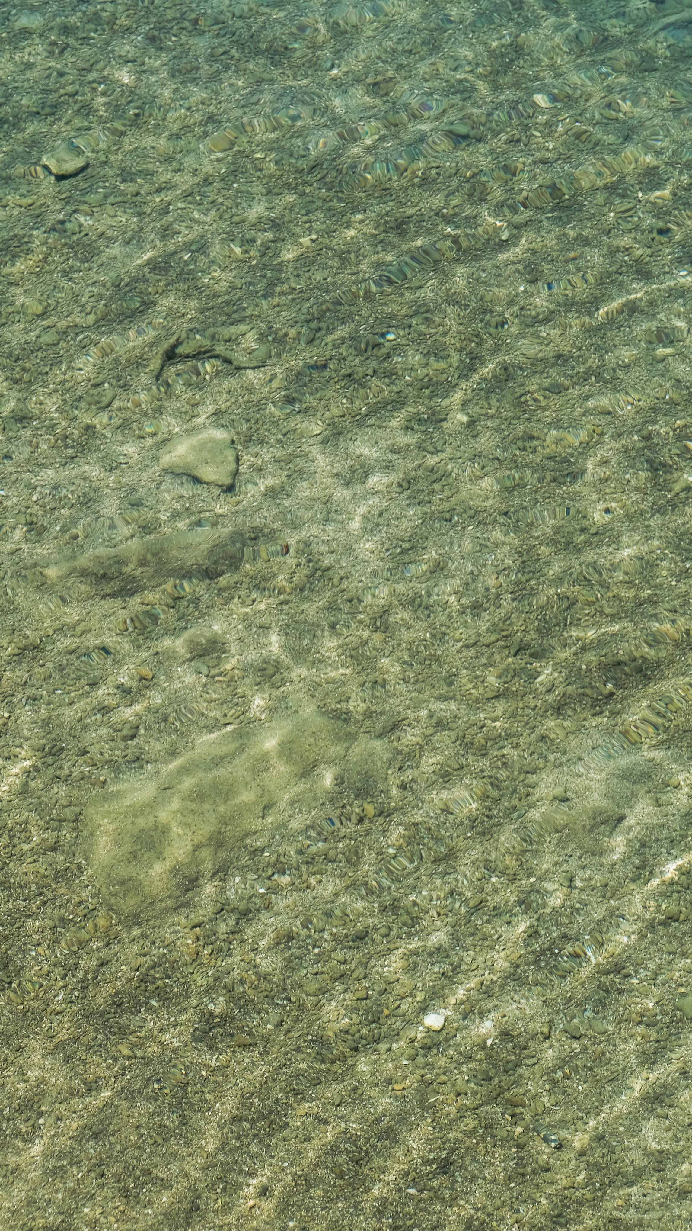 Shallow Water on Sea Shore · Free Stock Photo