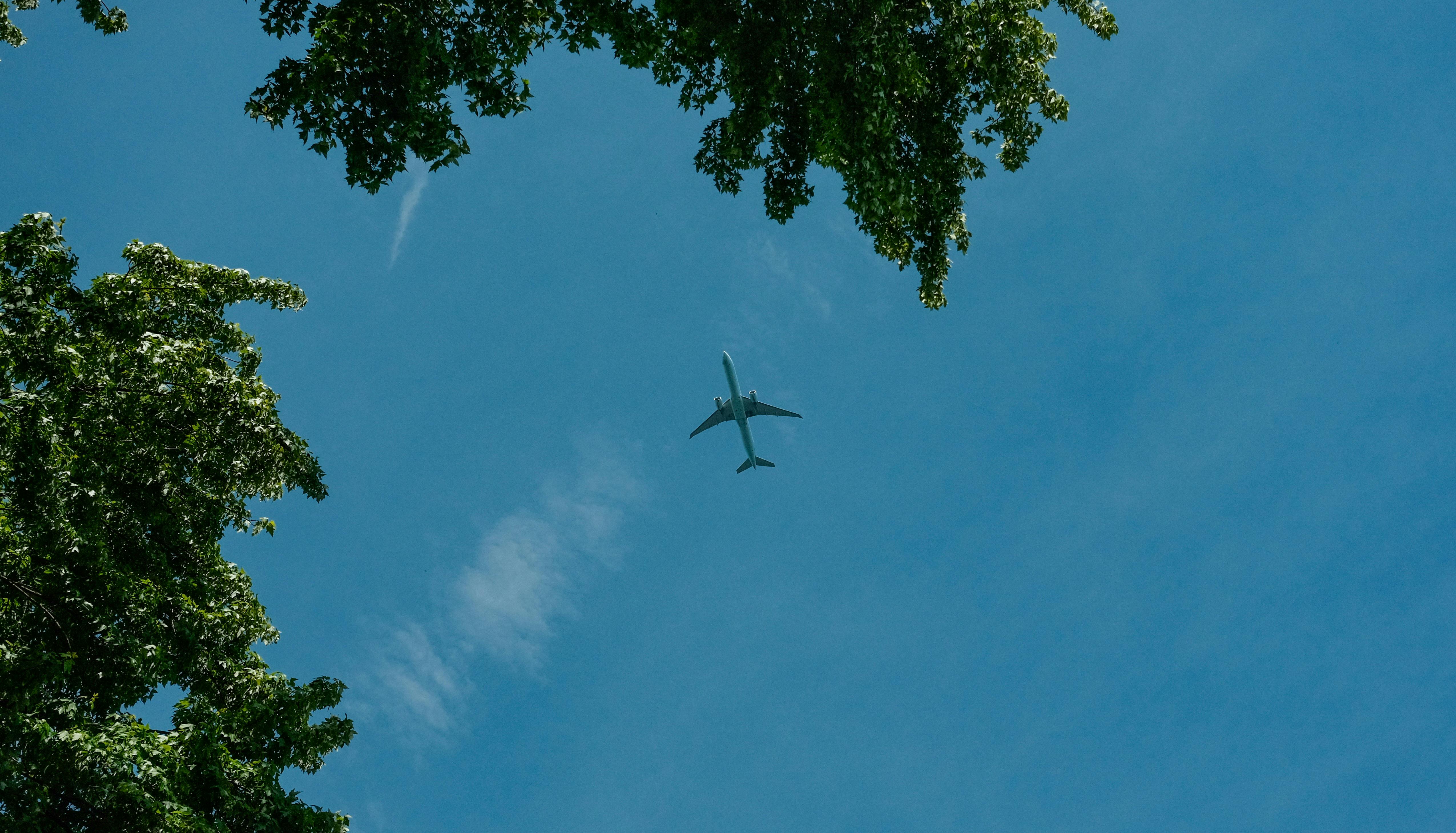 Airplane Flying over Trees · Free Stock Photo