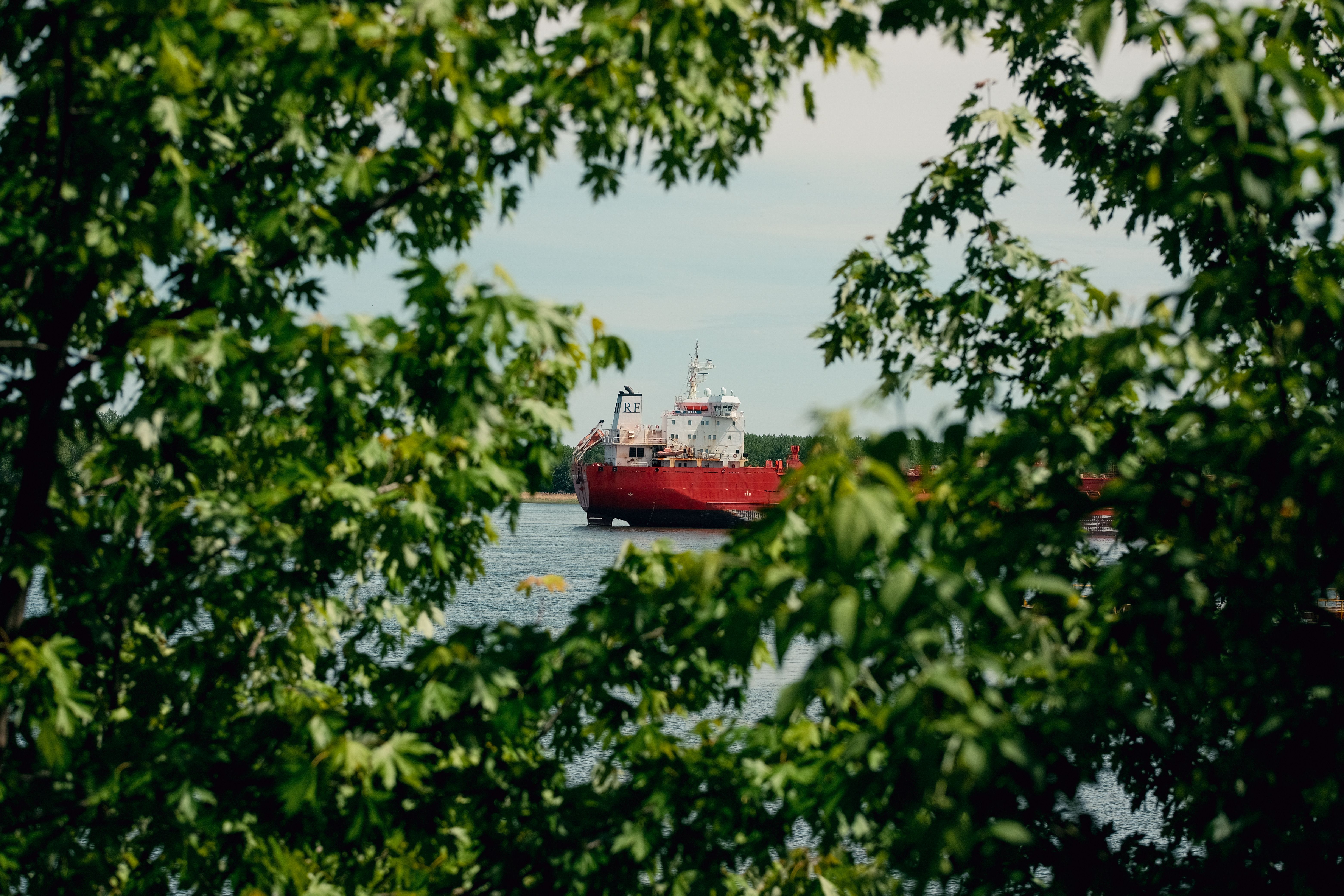 Ship on Sea Coast behind Tree Leaves · Free Stock Photo