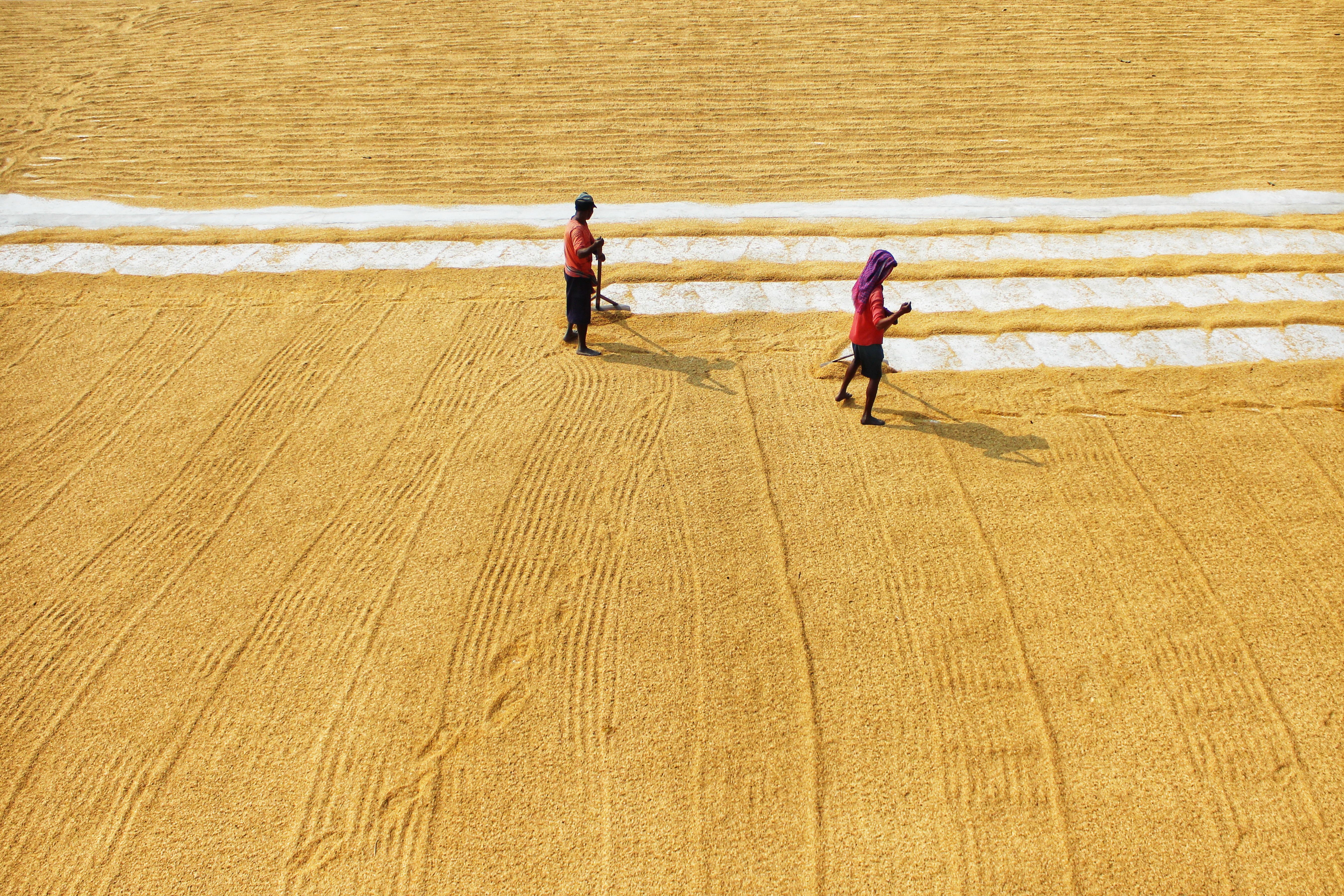 Farmers on Field · Free Stock Photo