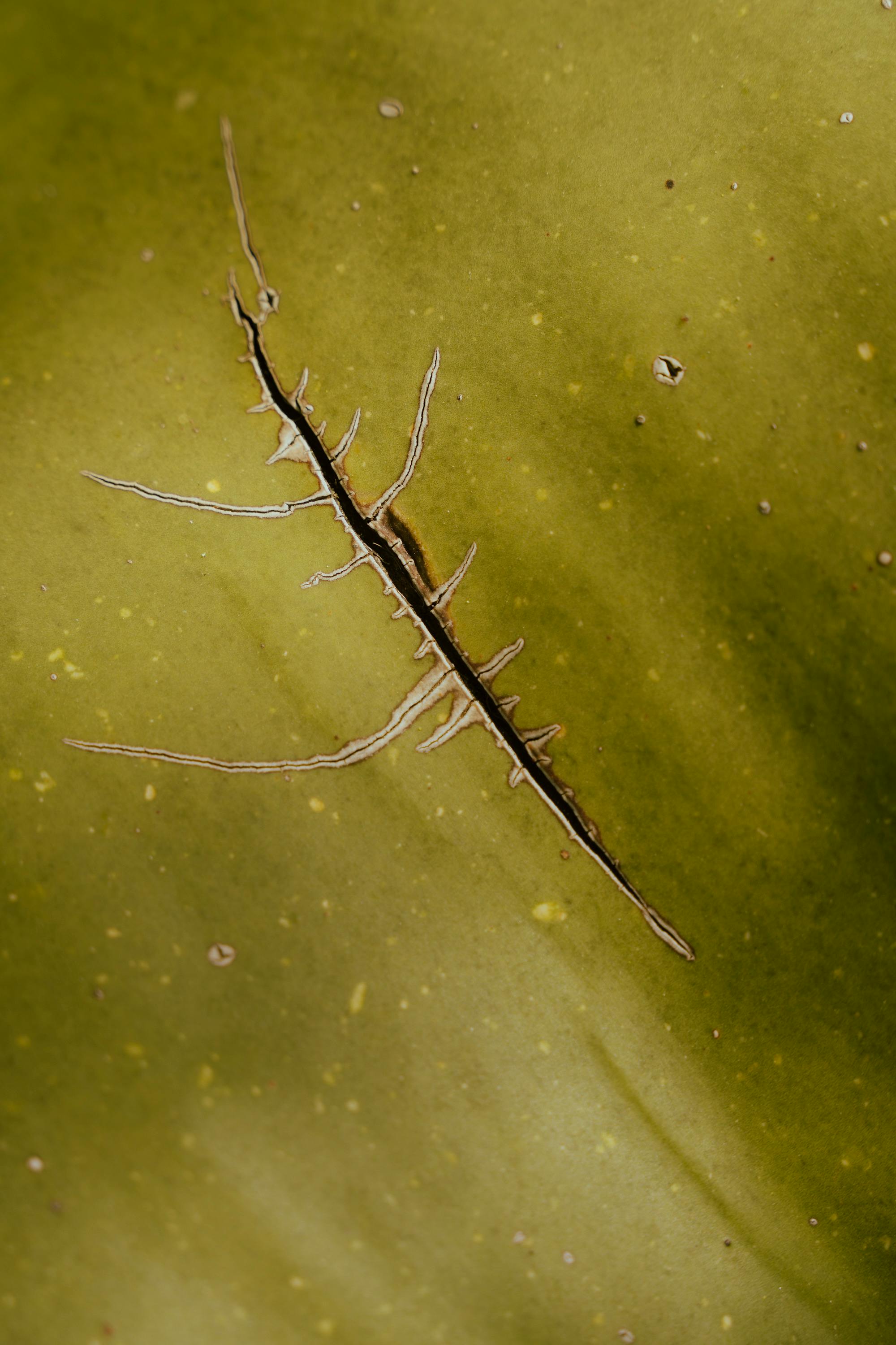 Andreas - Photography