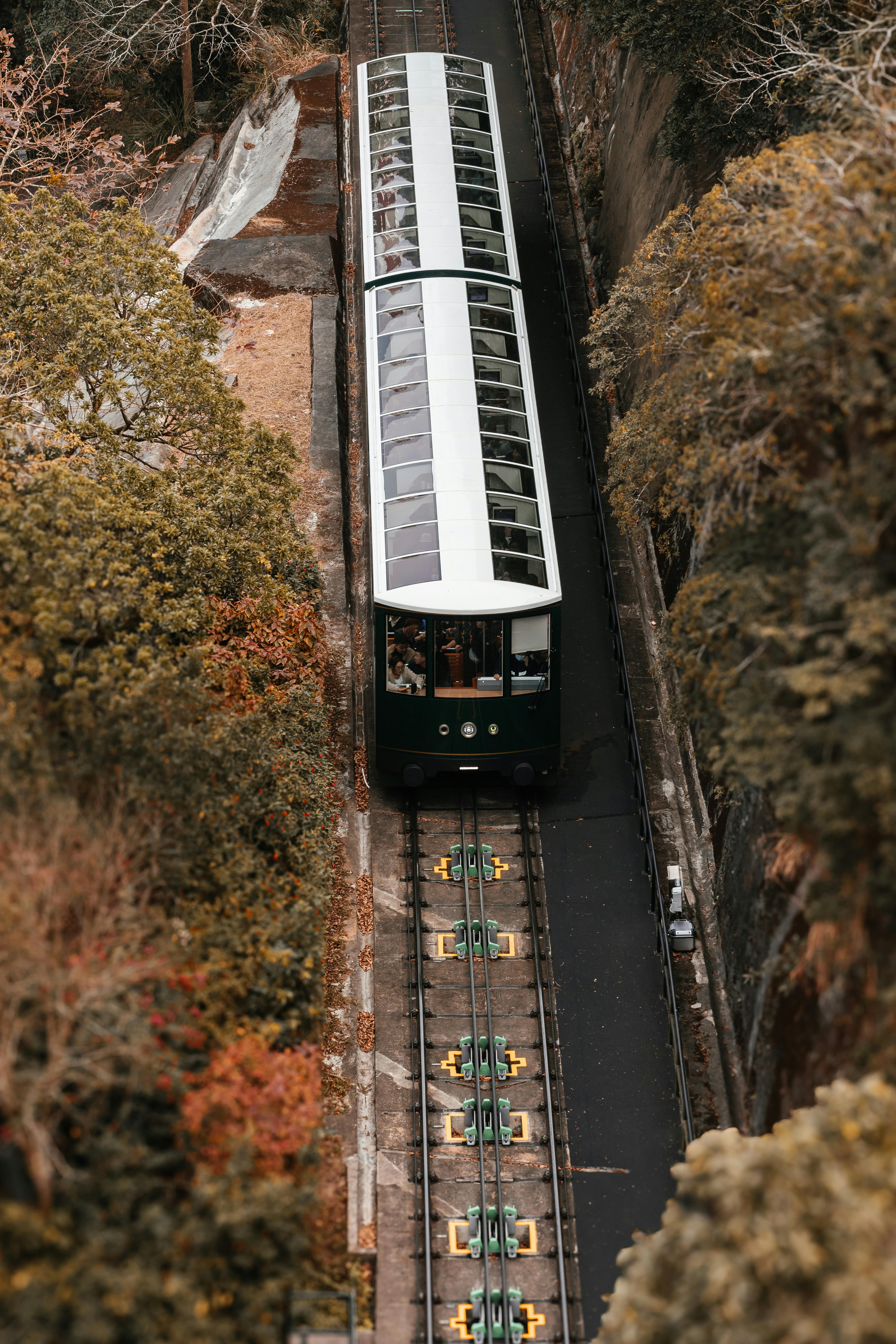 Train Among Trees · Free Stock Photo