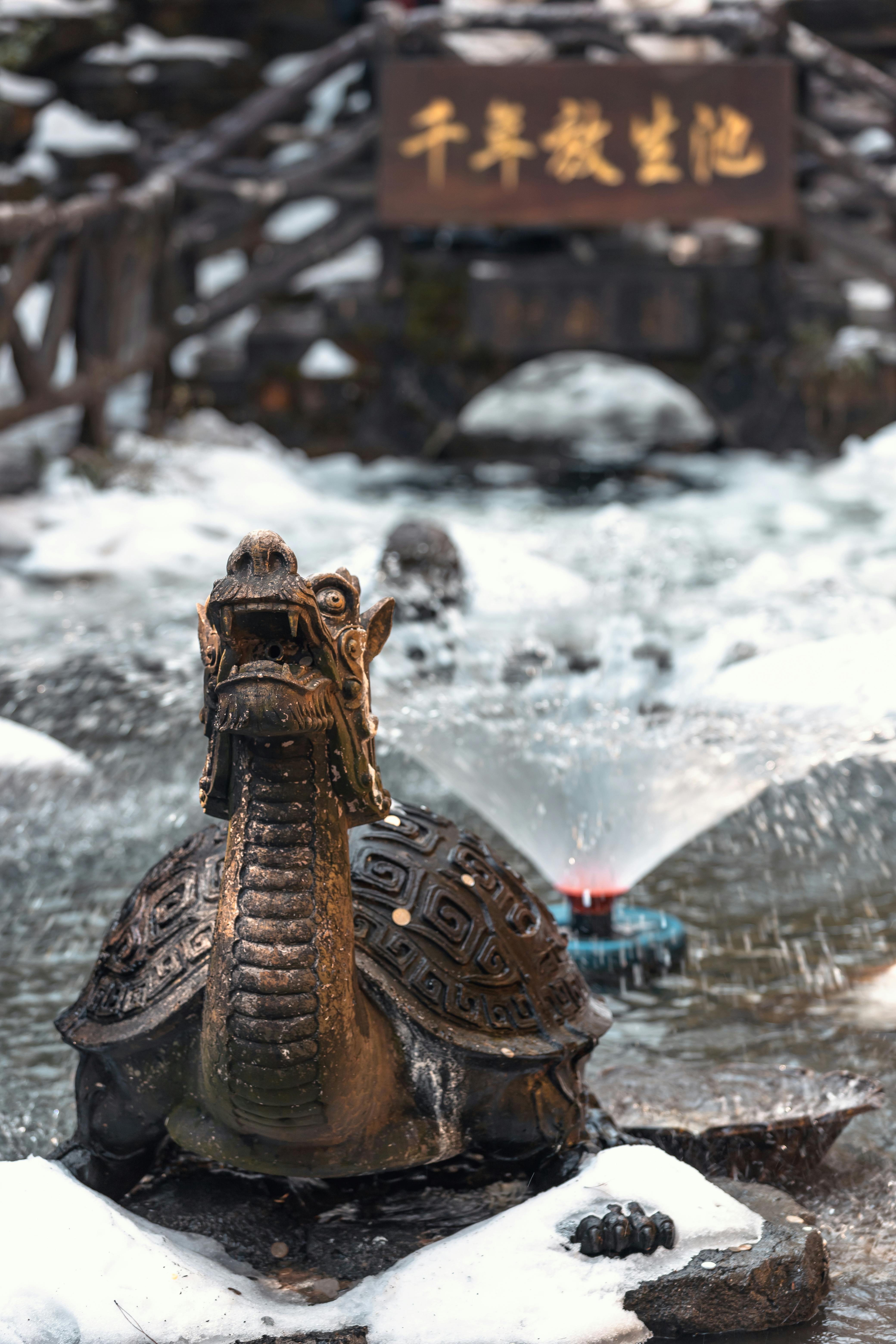 Traditional Wooden Dragon with Turtle Shell Statue Outdoors in Snow ...