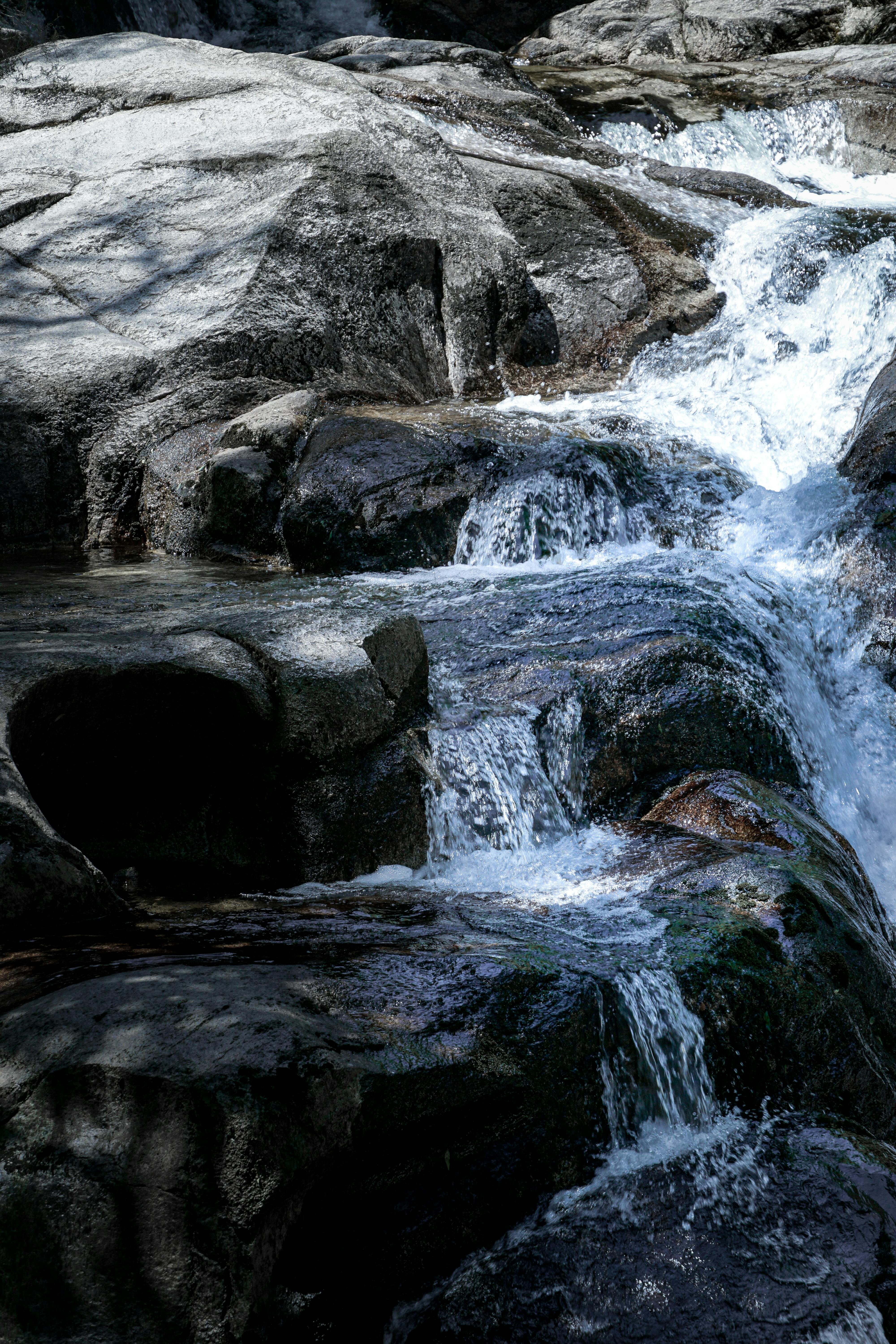 Body of Water Near Green Tree · Free Stock Photo