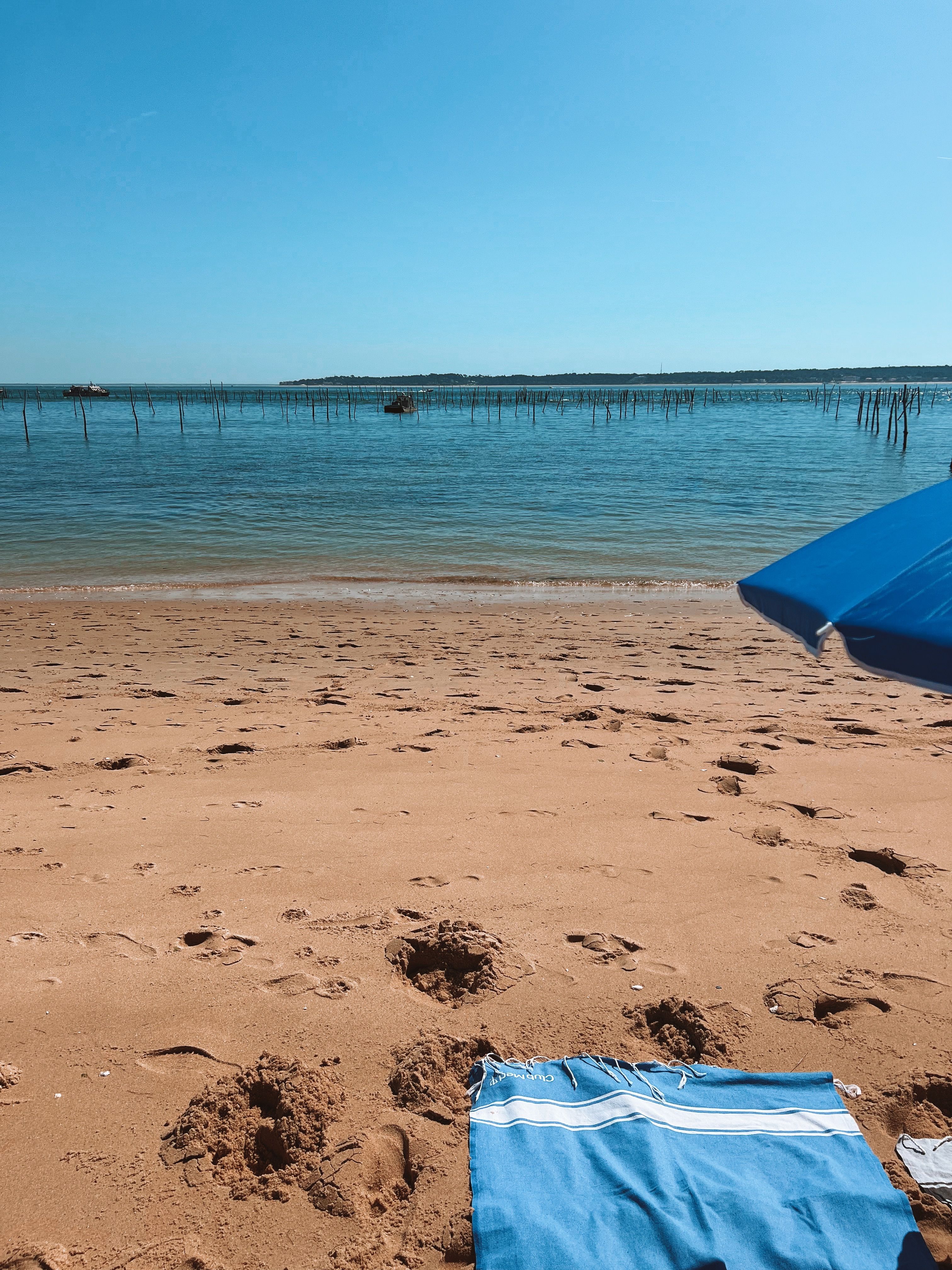 Beach on Sea Shore · Free Stock Photo