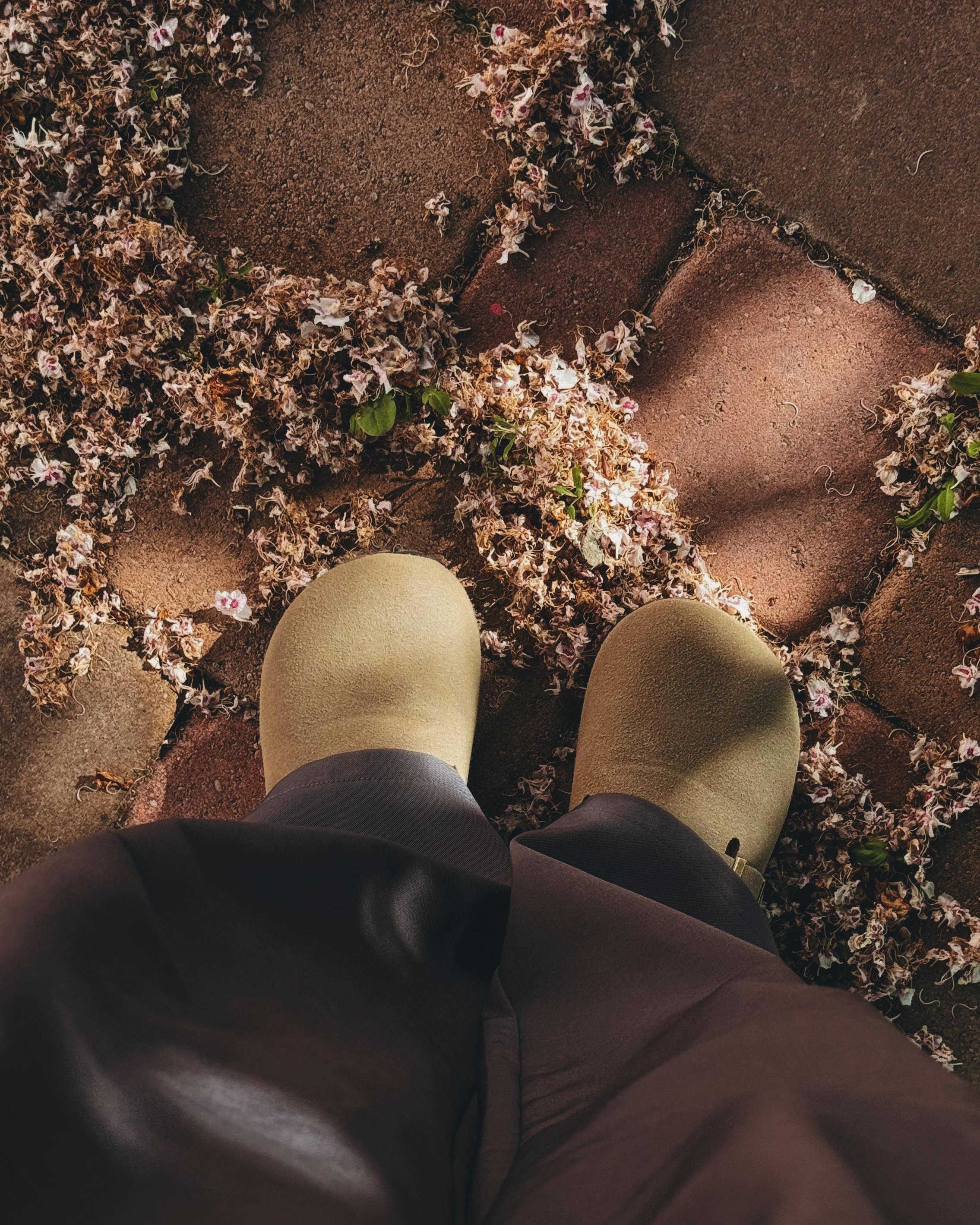 Brown Shoes of a Person Standing on Pavement Covered in Wilted Petals ...