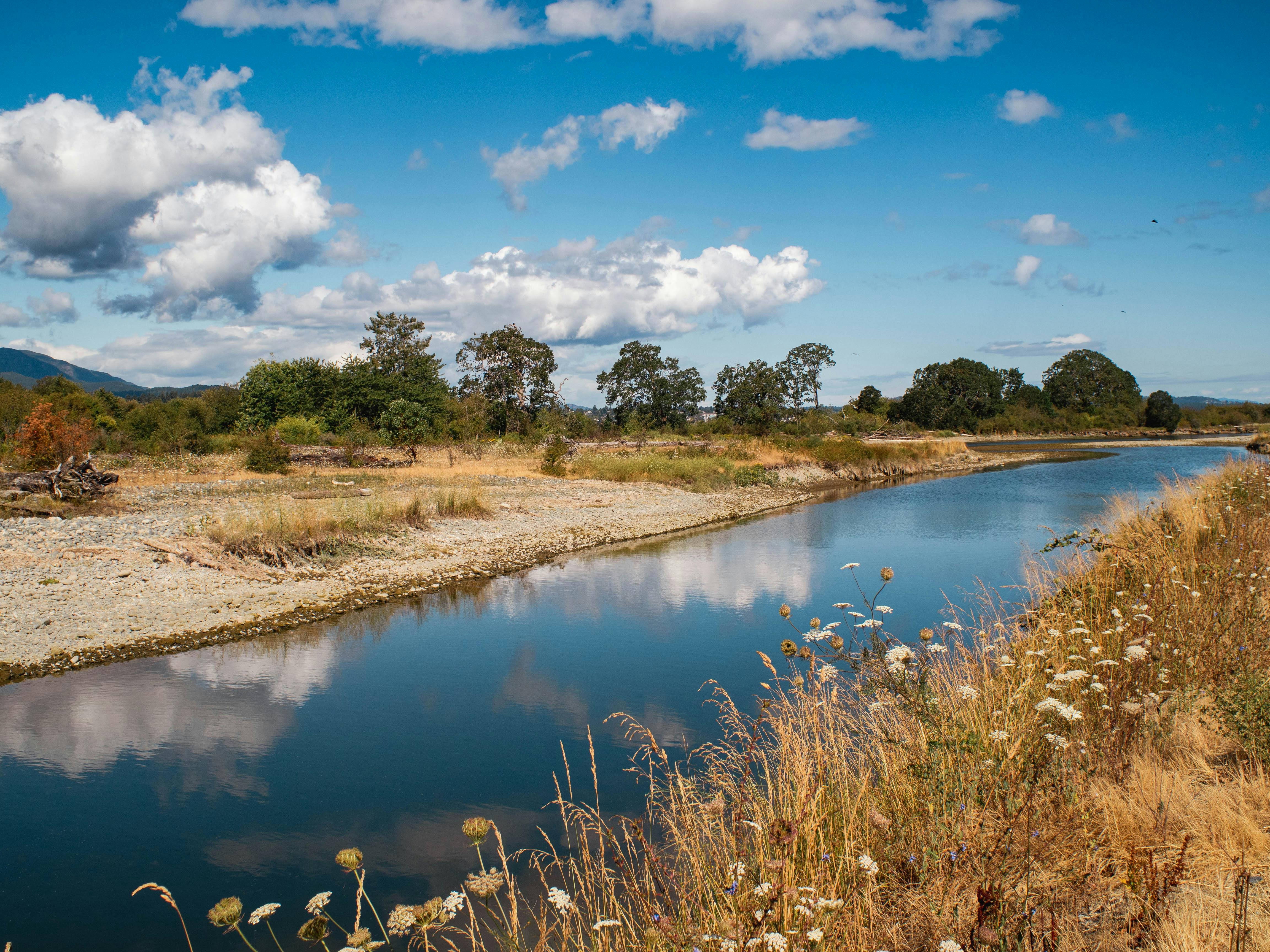 River in Countryside · Free Stock Photo