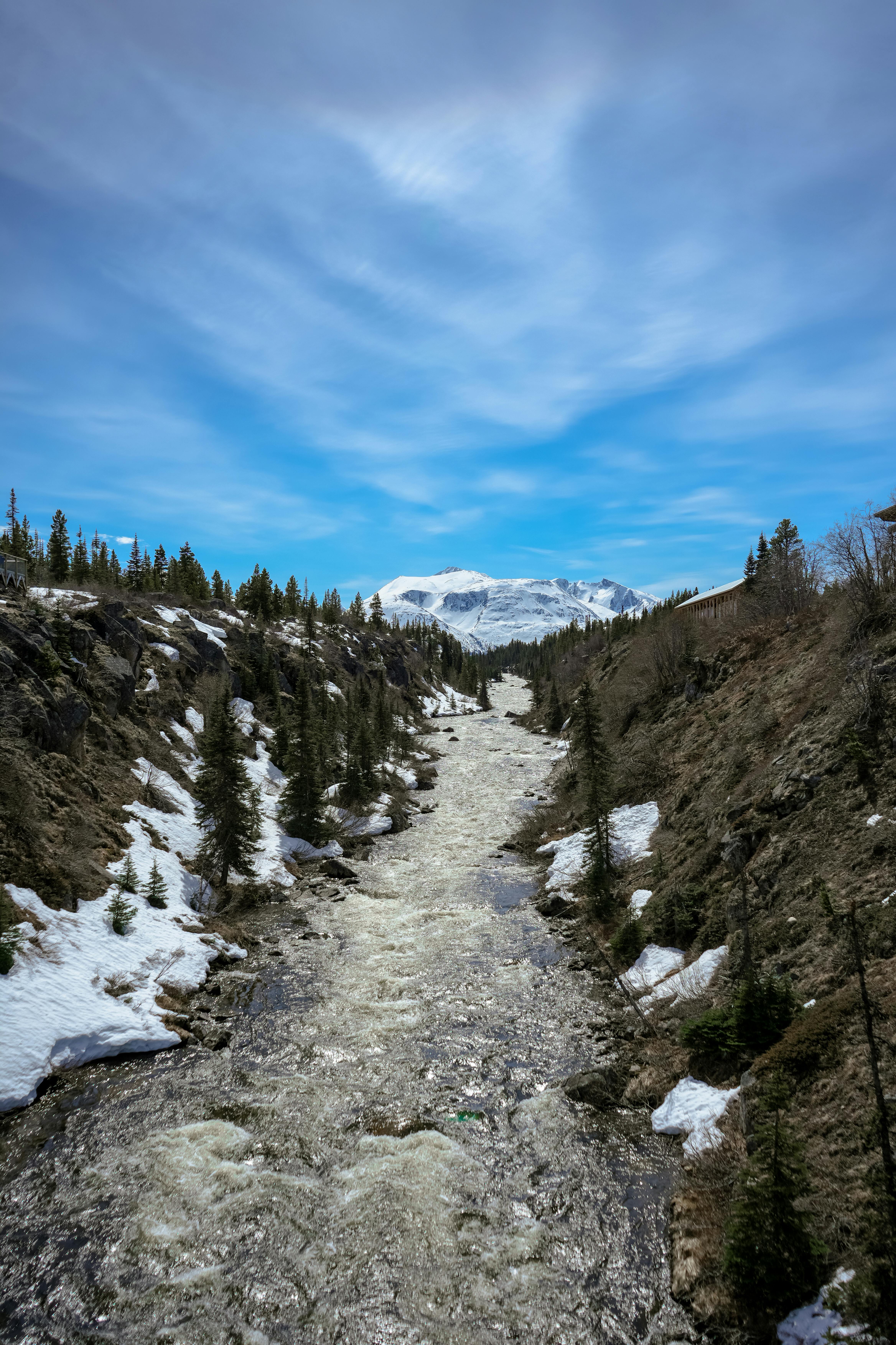 Clear River Flowing in Winter · Free Stock Photo