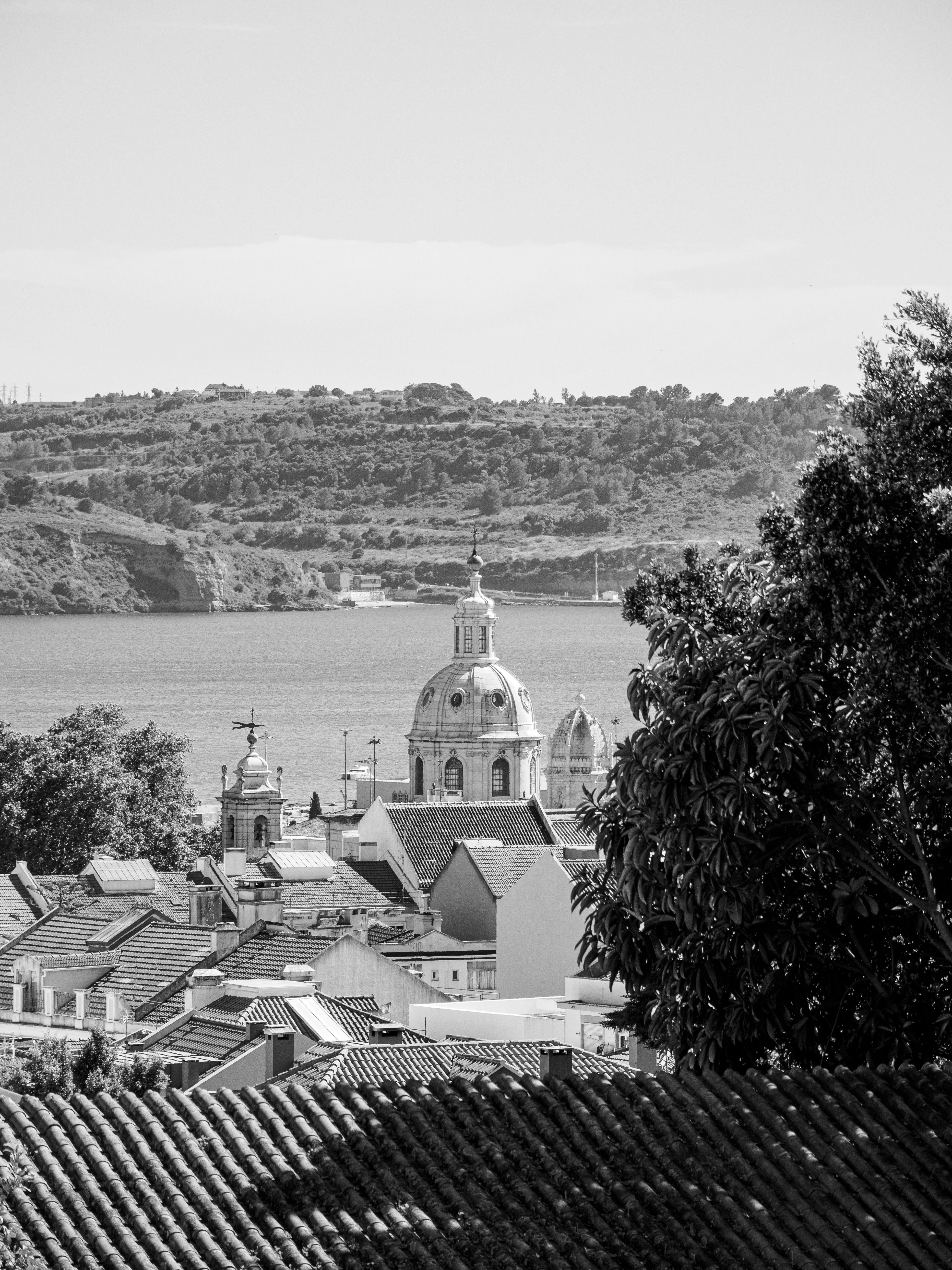 Tress Elevation Black Ng Photoshop Photos, Download The BEST Free Tress ...