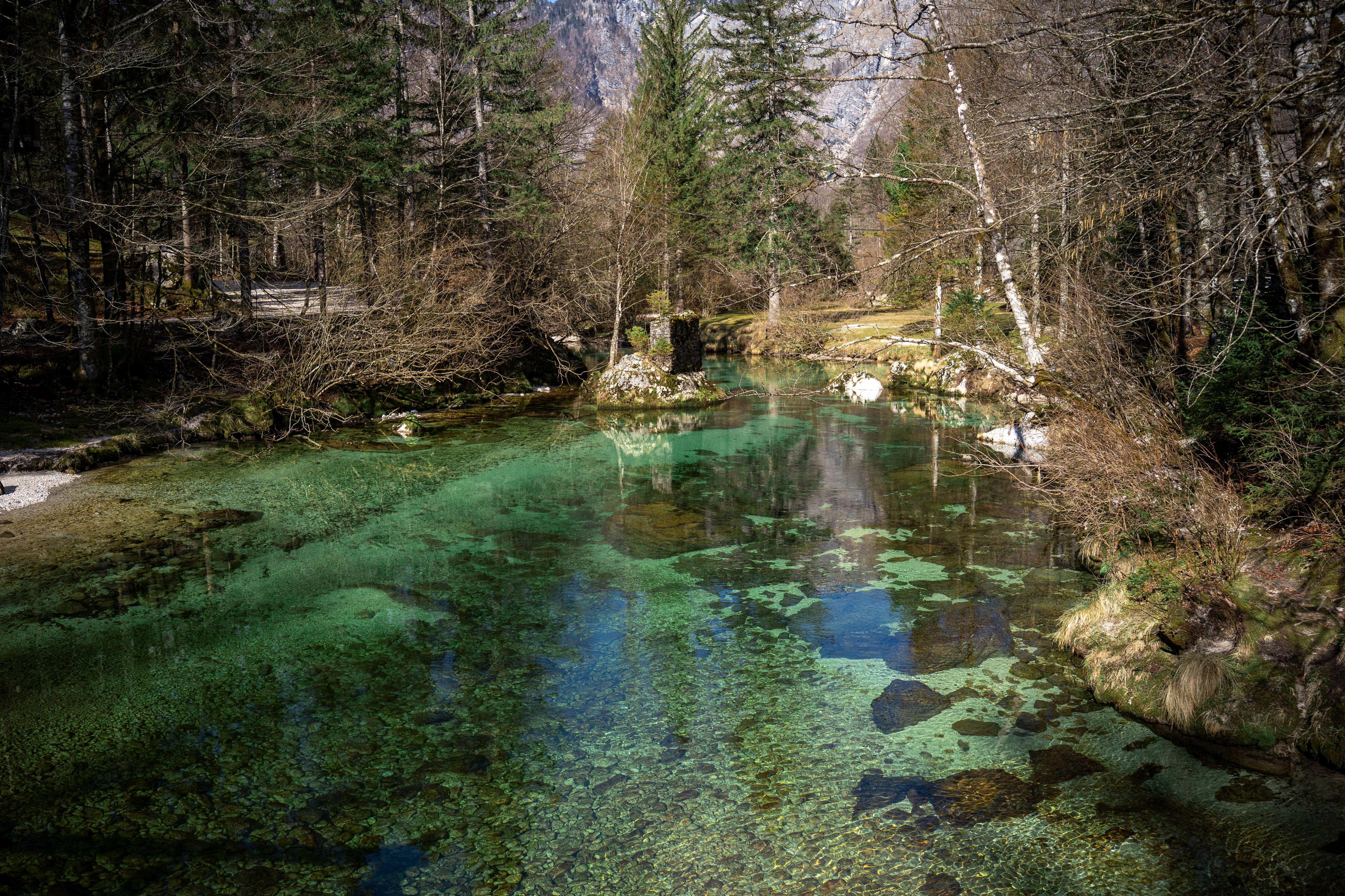 Turquoise Lake in Forest · Free Stock Photo