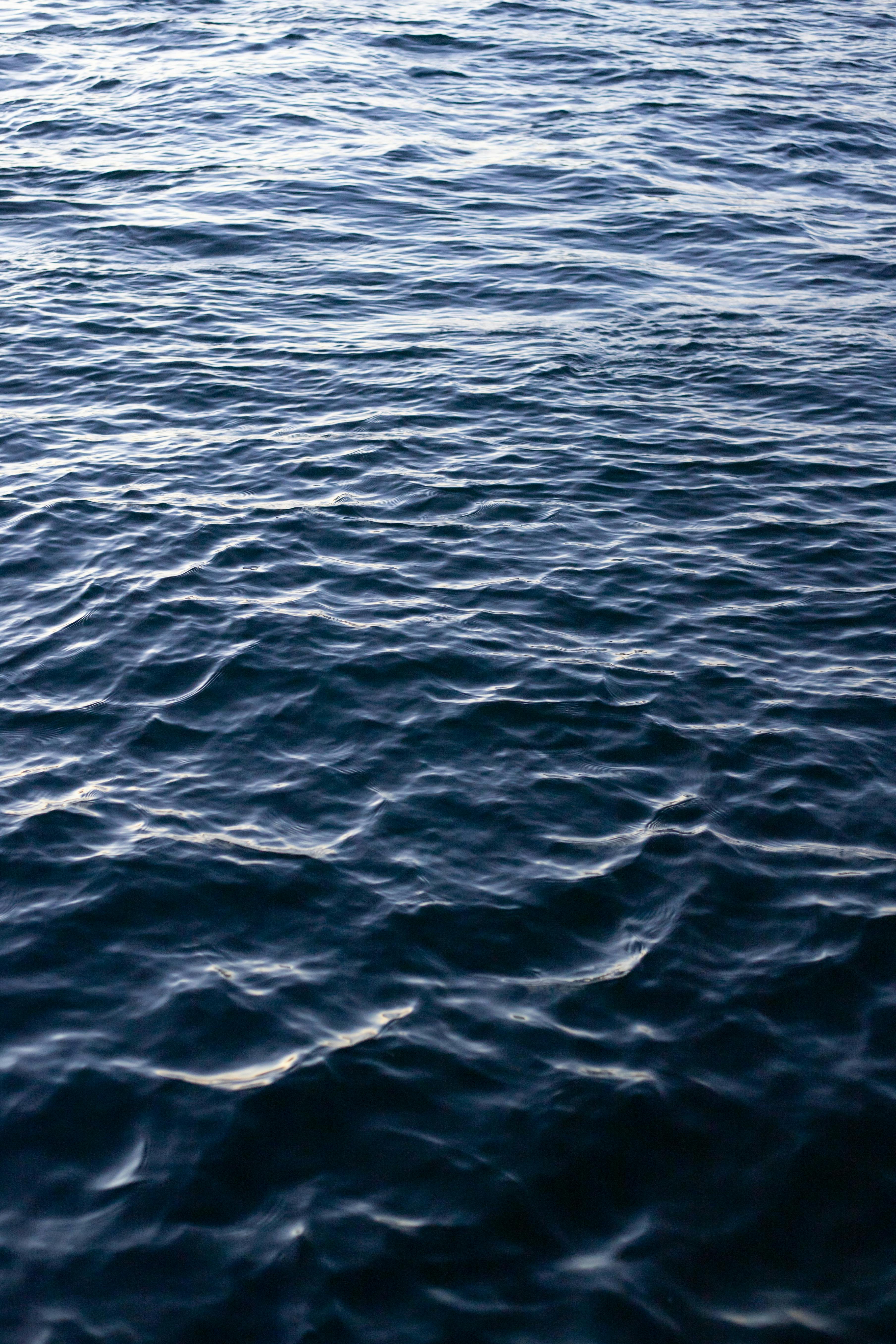 Blue and Wavy Sea Water · Free Stock Photo