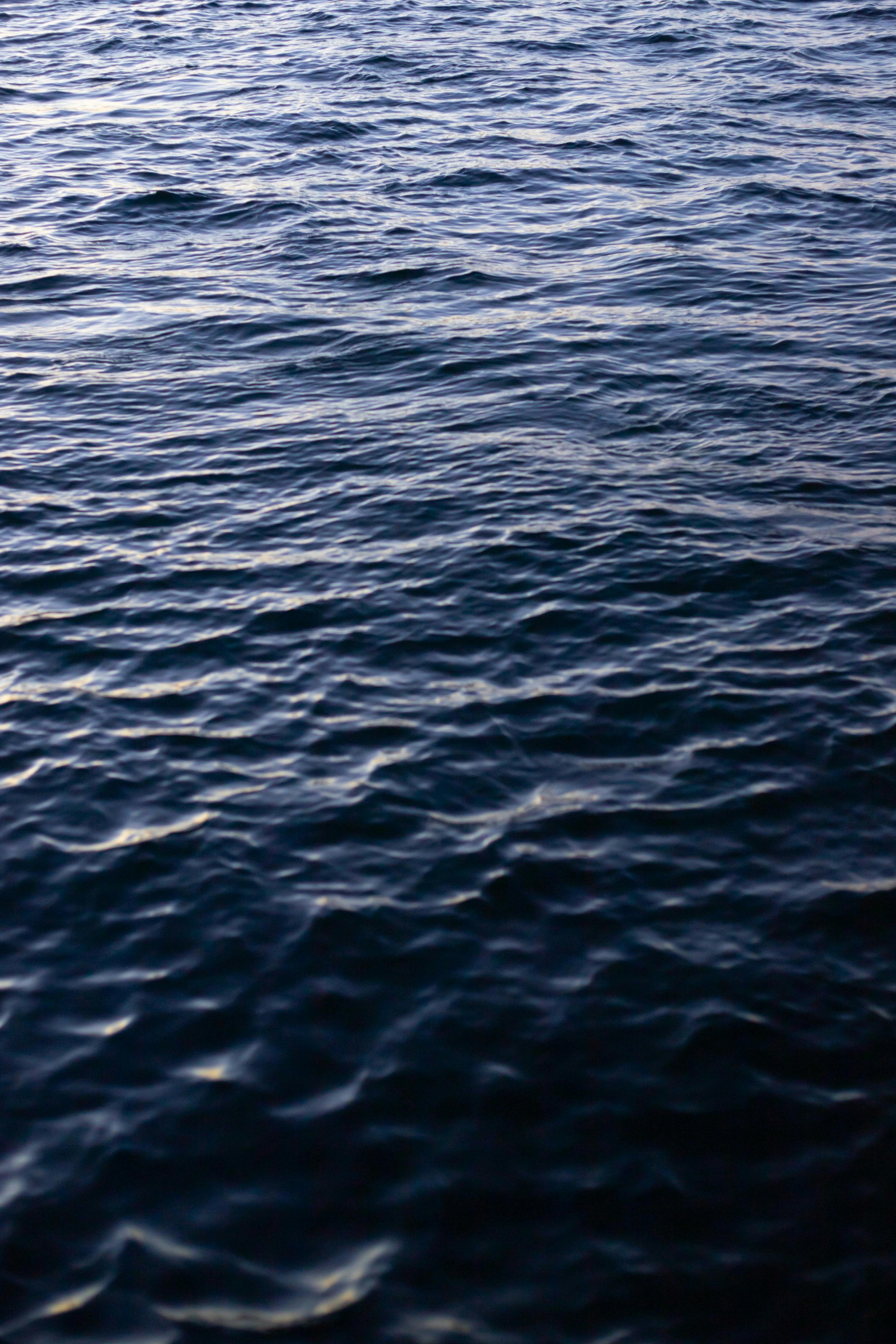 Wavy Sea Water · Free Stock Photo