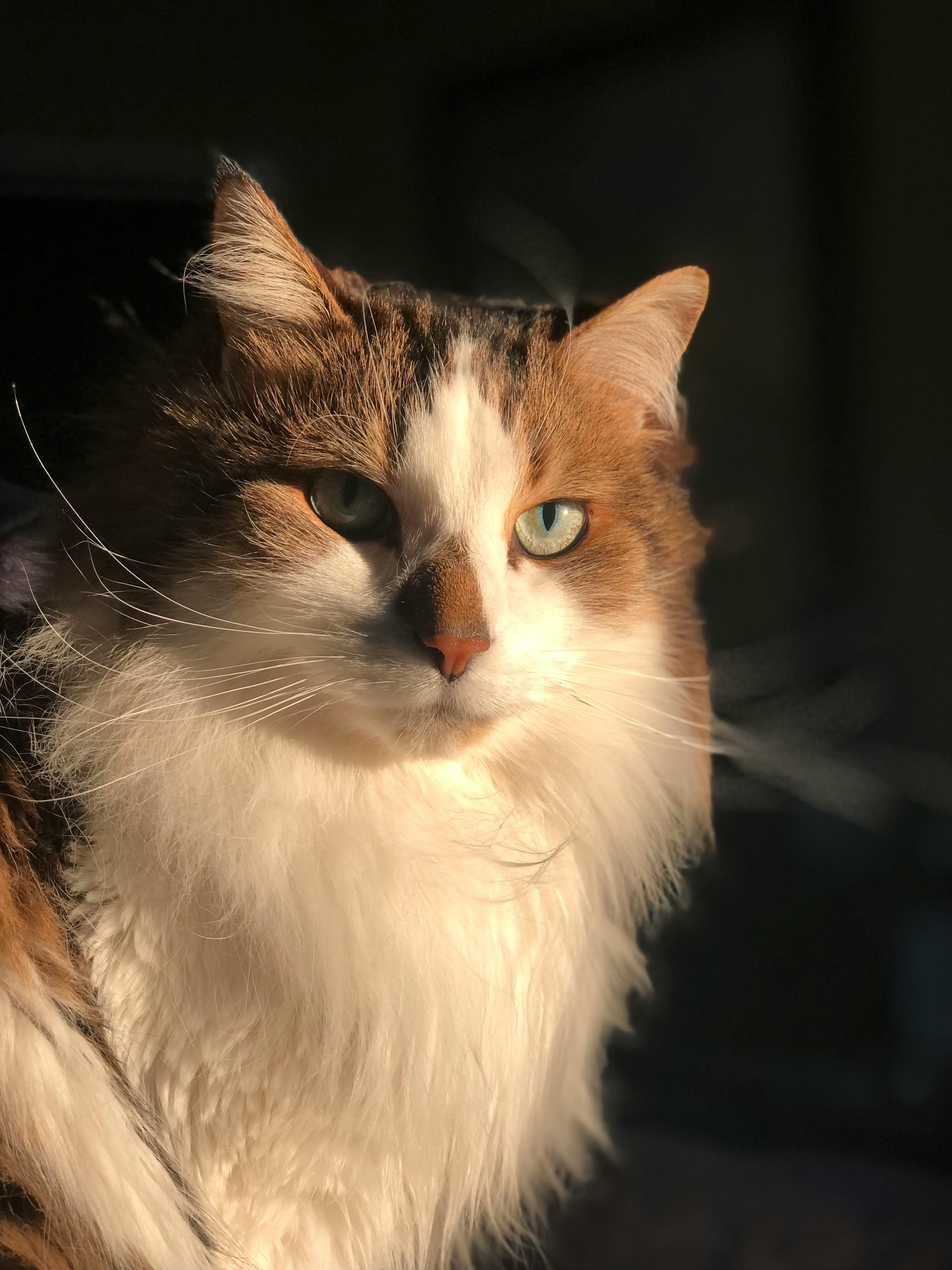 Eric Joseph - Photographie