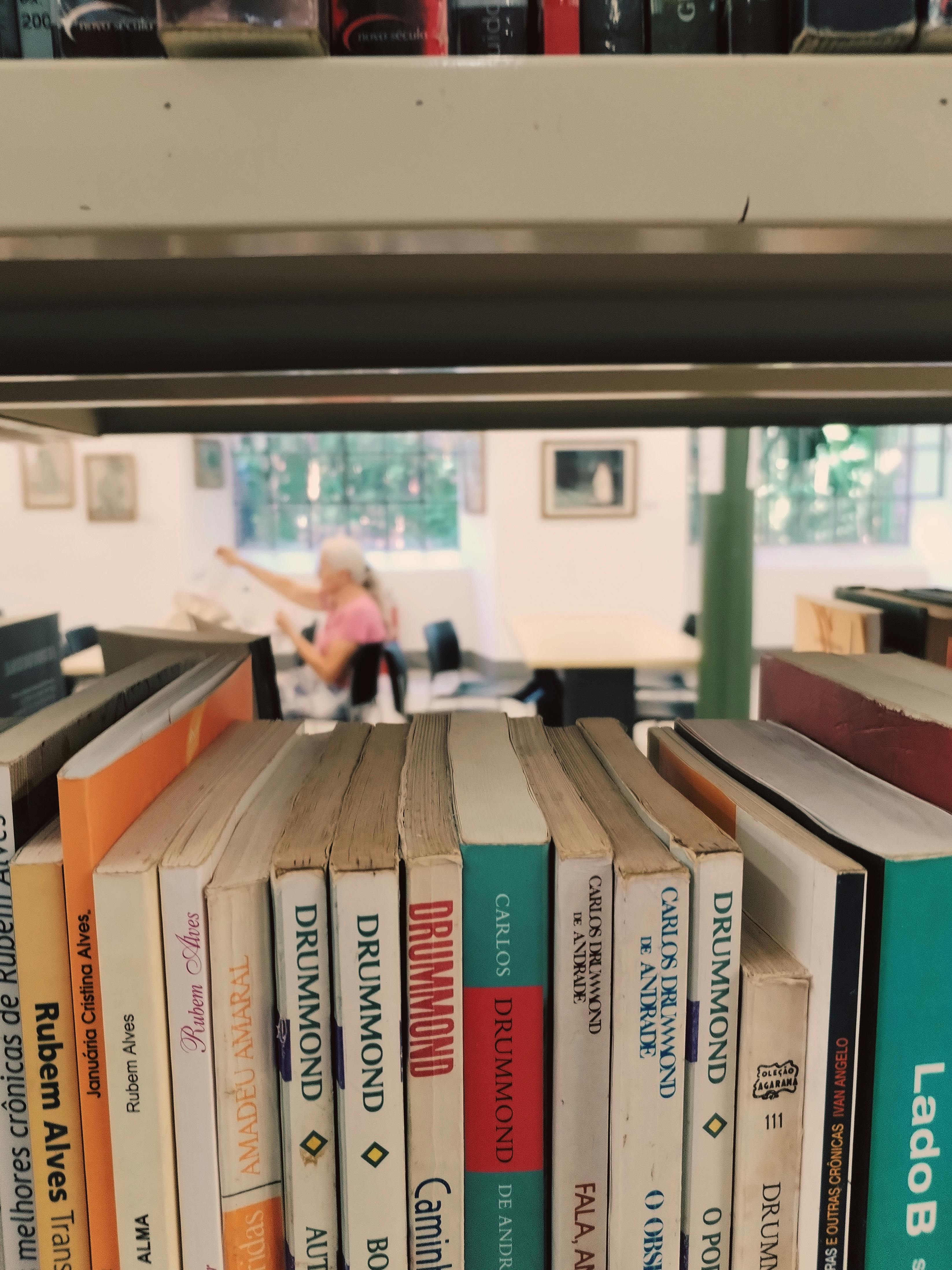 Daniel Bertoli - 攝影