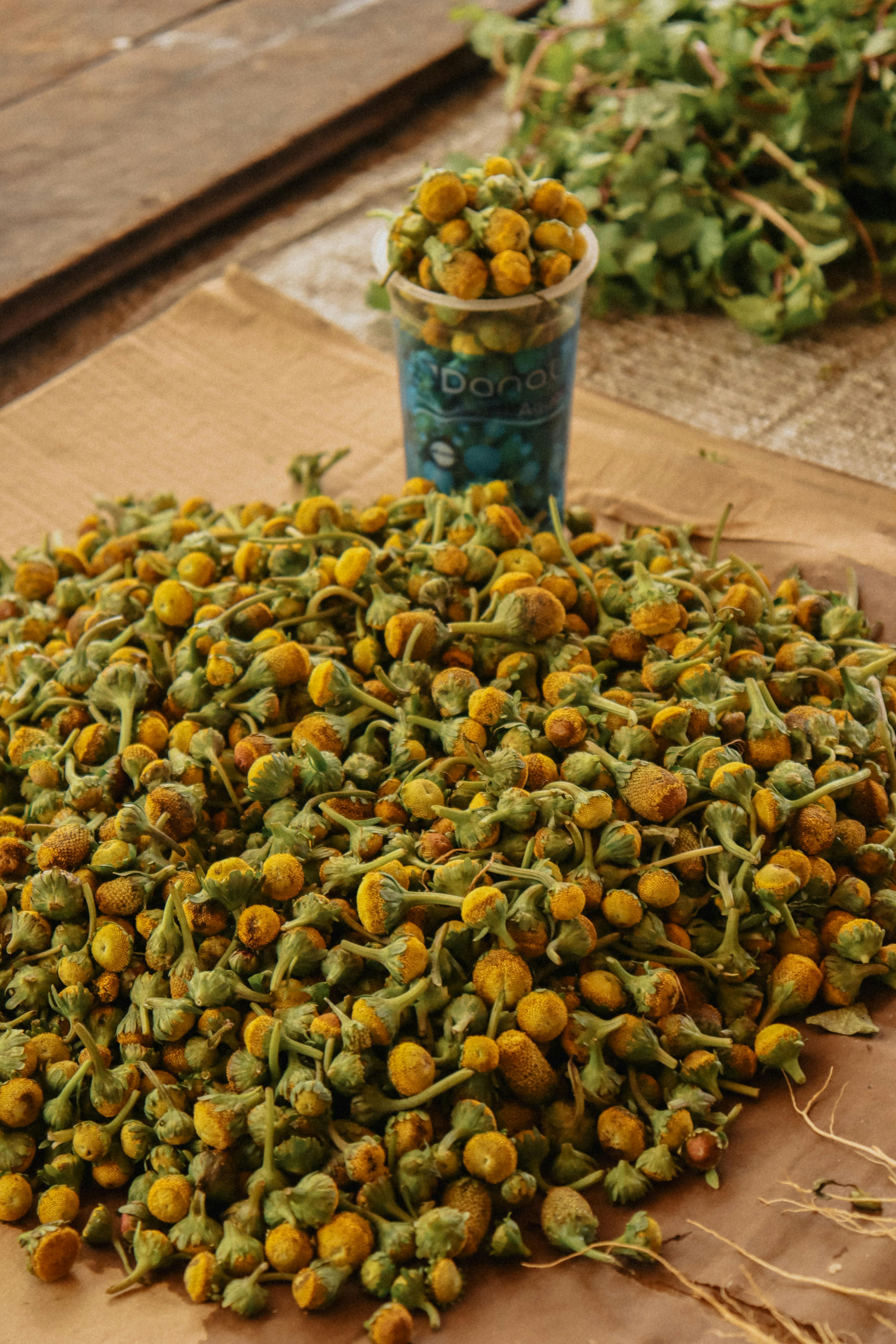 Base Para Turistas Photos, Download The BEST Free Base Para Turistas ...