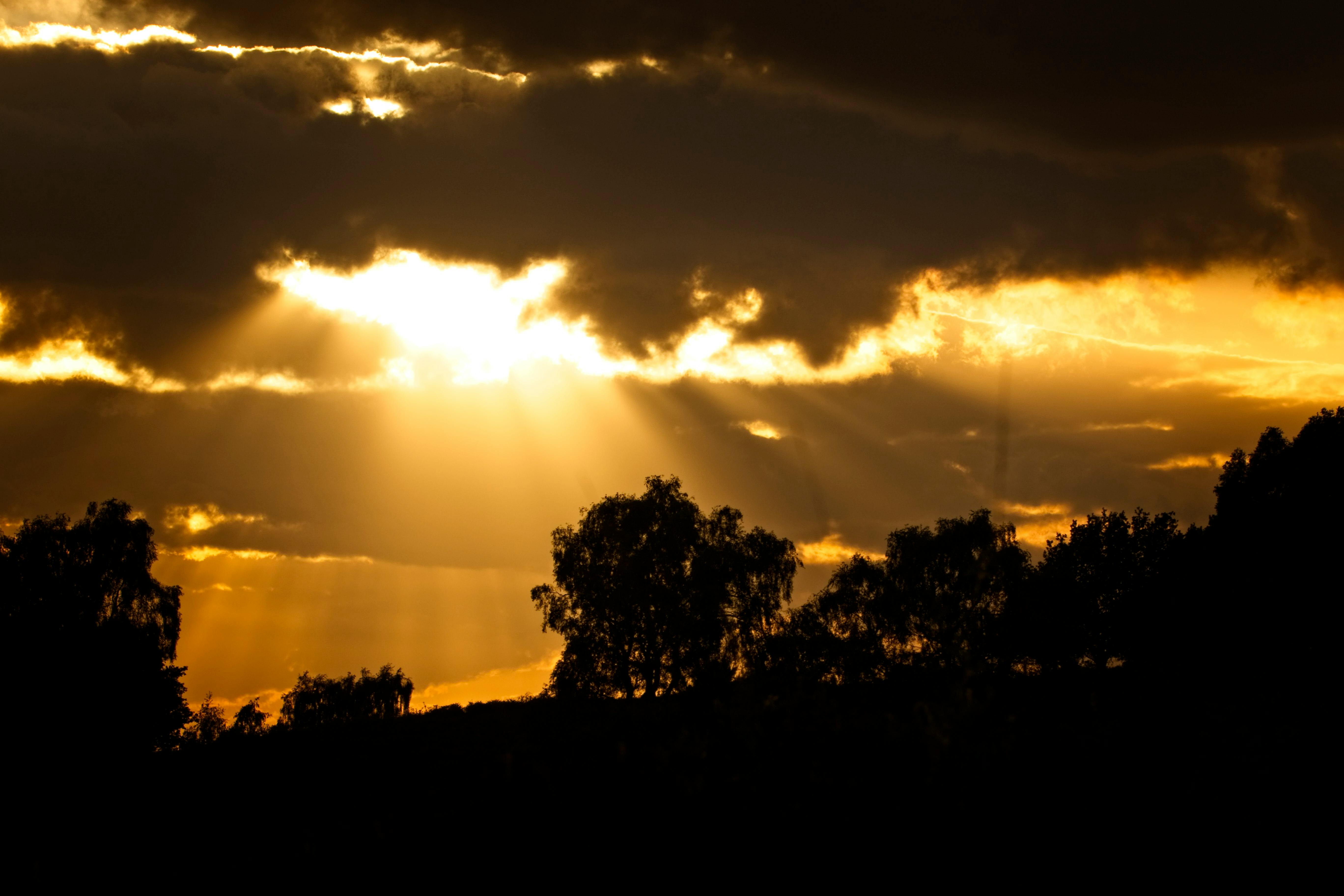 Free stock photo of sun, sunrays