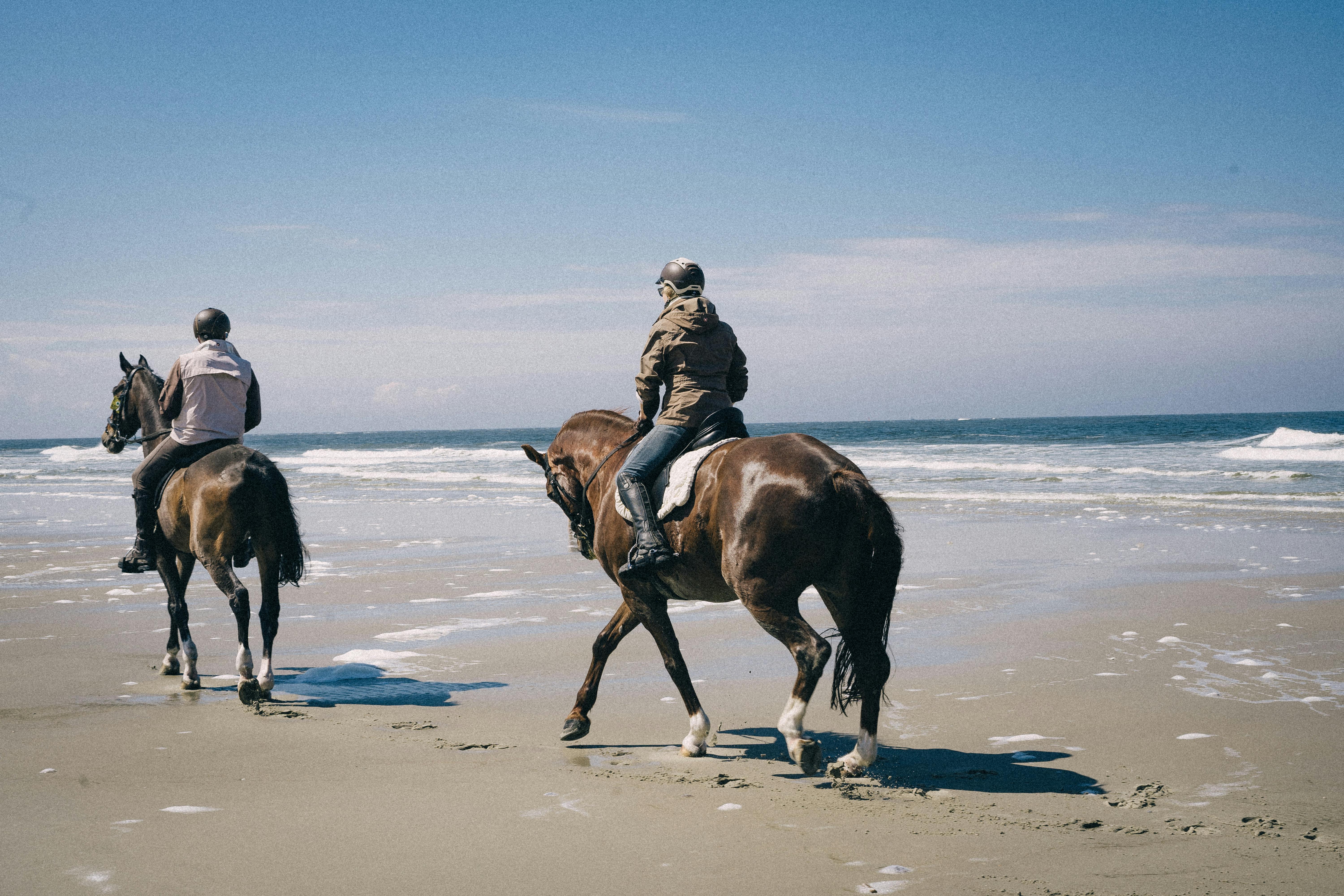 Two People Riding Horses on a Beach · Free Stock Photo