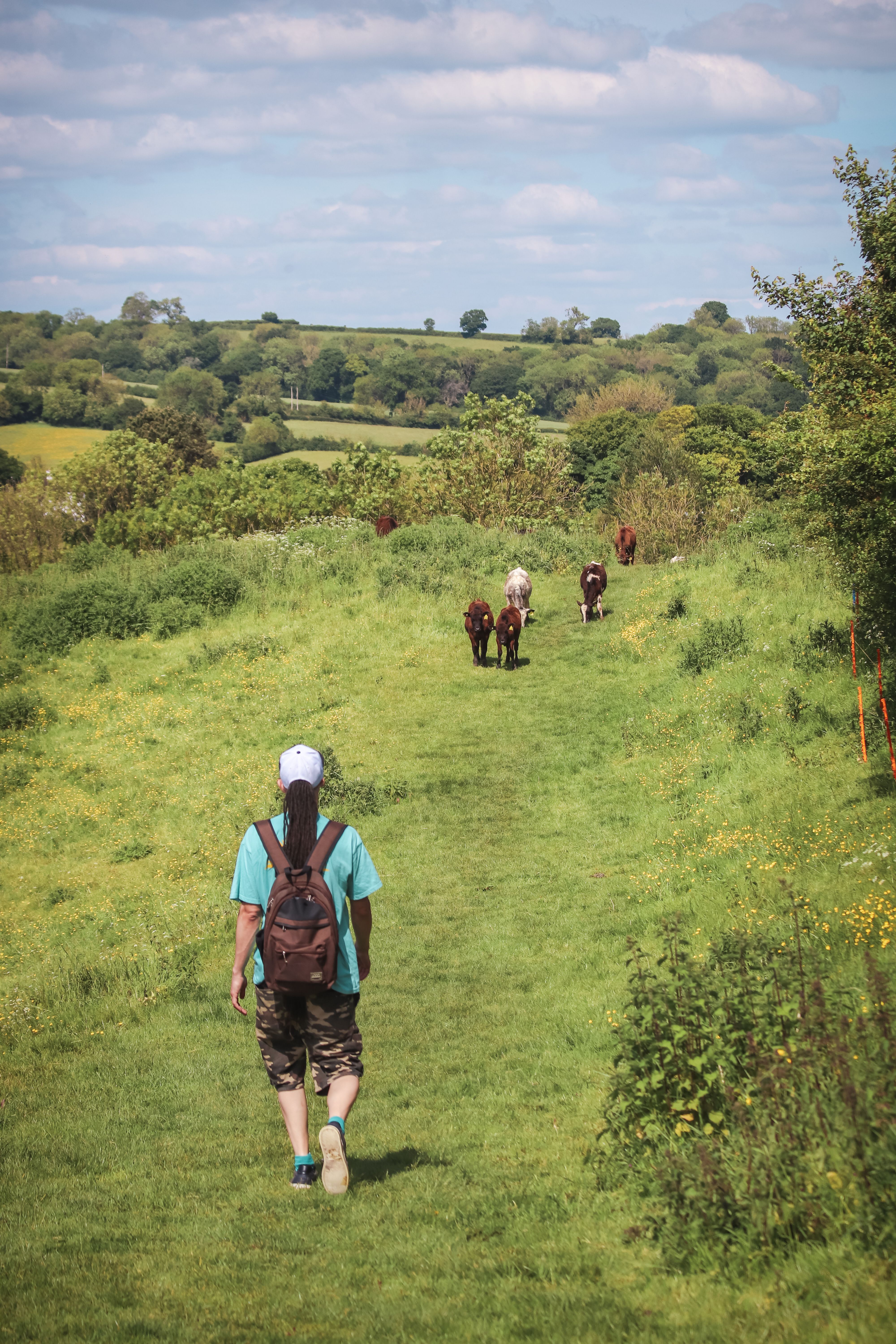 A person walking down a path with a backpack · Free Stock Photo