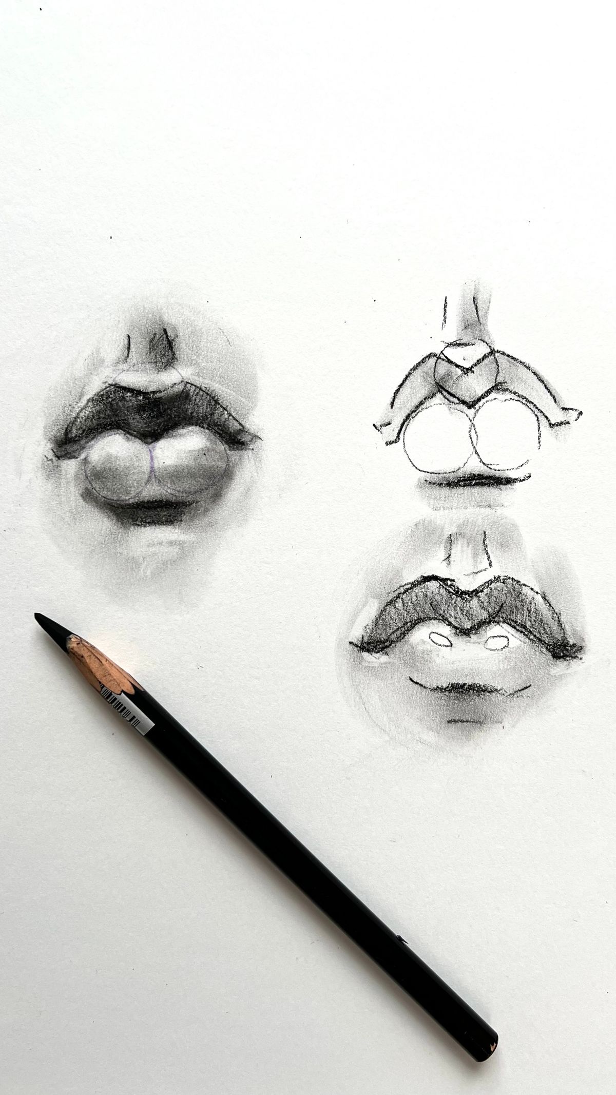 Anatomy Pencil Drawing Photos, Download The BEST Free Anatomy Pencil ...