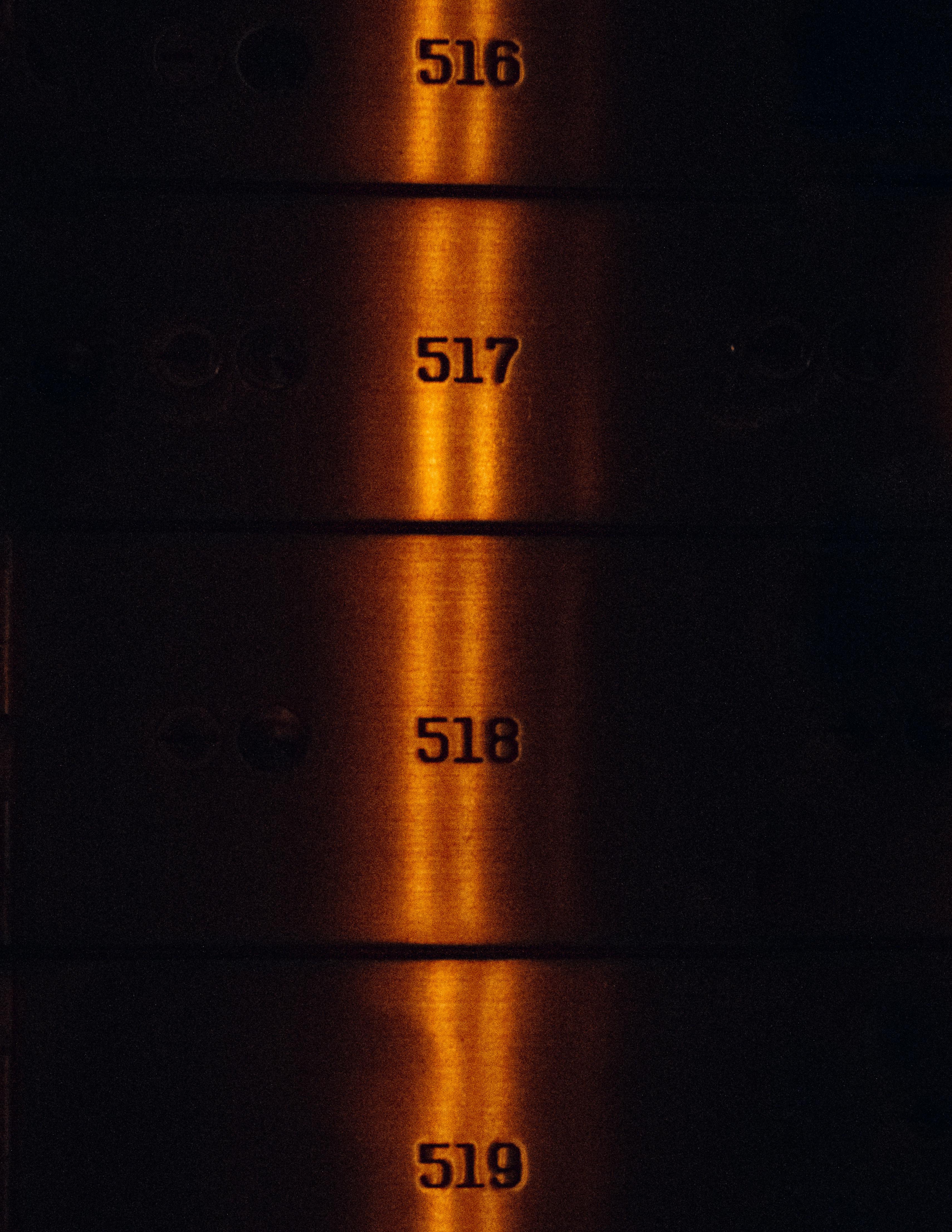 519 Photos, Download The BEST Free 519 Stock Photos & HD Images