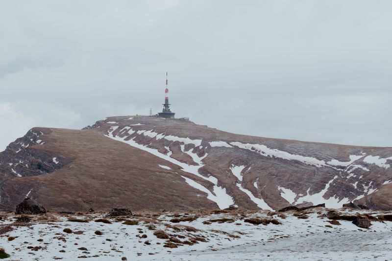 Radio masts and towers: A simple guide to basics and uses