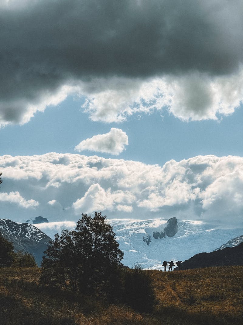 Vegetation Photos, Download The BEST Free Vegetation Stock Photos & HD ...