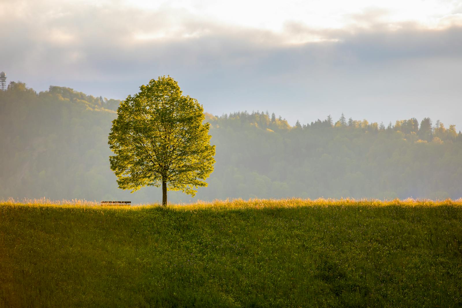 Sun Summer Photos, Download The BEST Free Sun Summer Stock Photos & HD ...