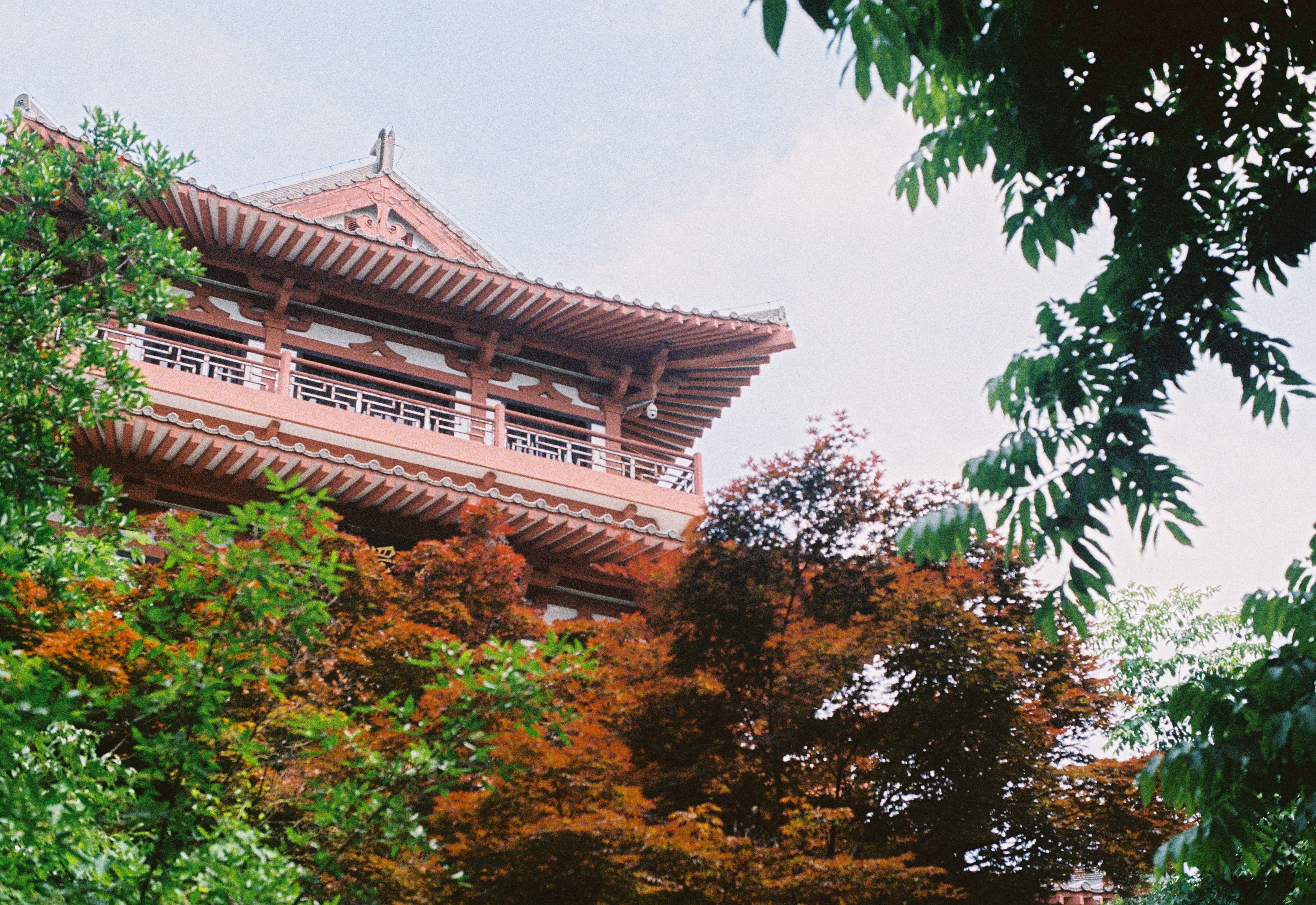 Buddhist Temple in Forest · Free Stock Photo
