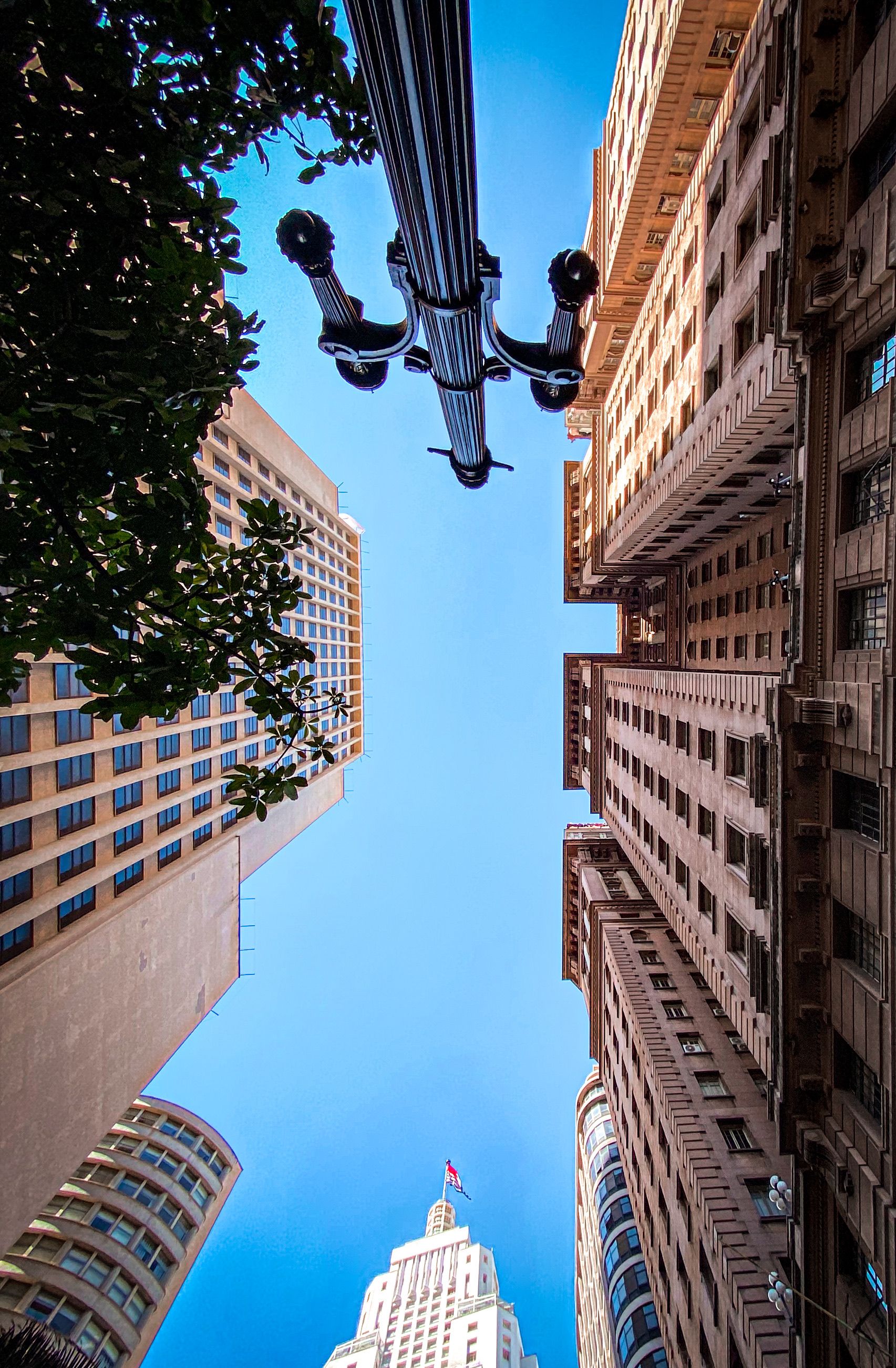 Low Angle Shot of Buildings in City · Free Stock Photo