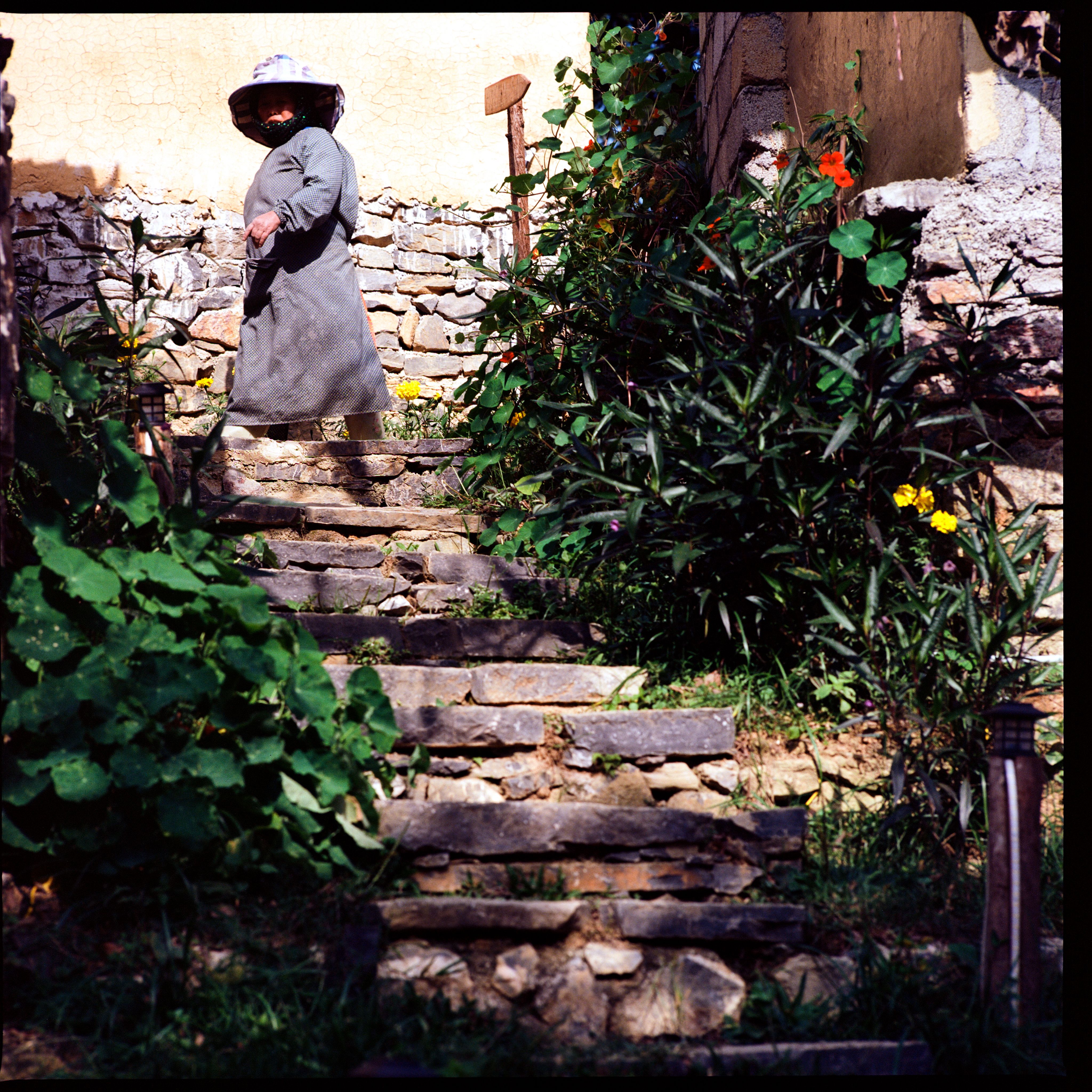 Person Walking behind Stairs in Garden · Free Stock Photo