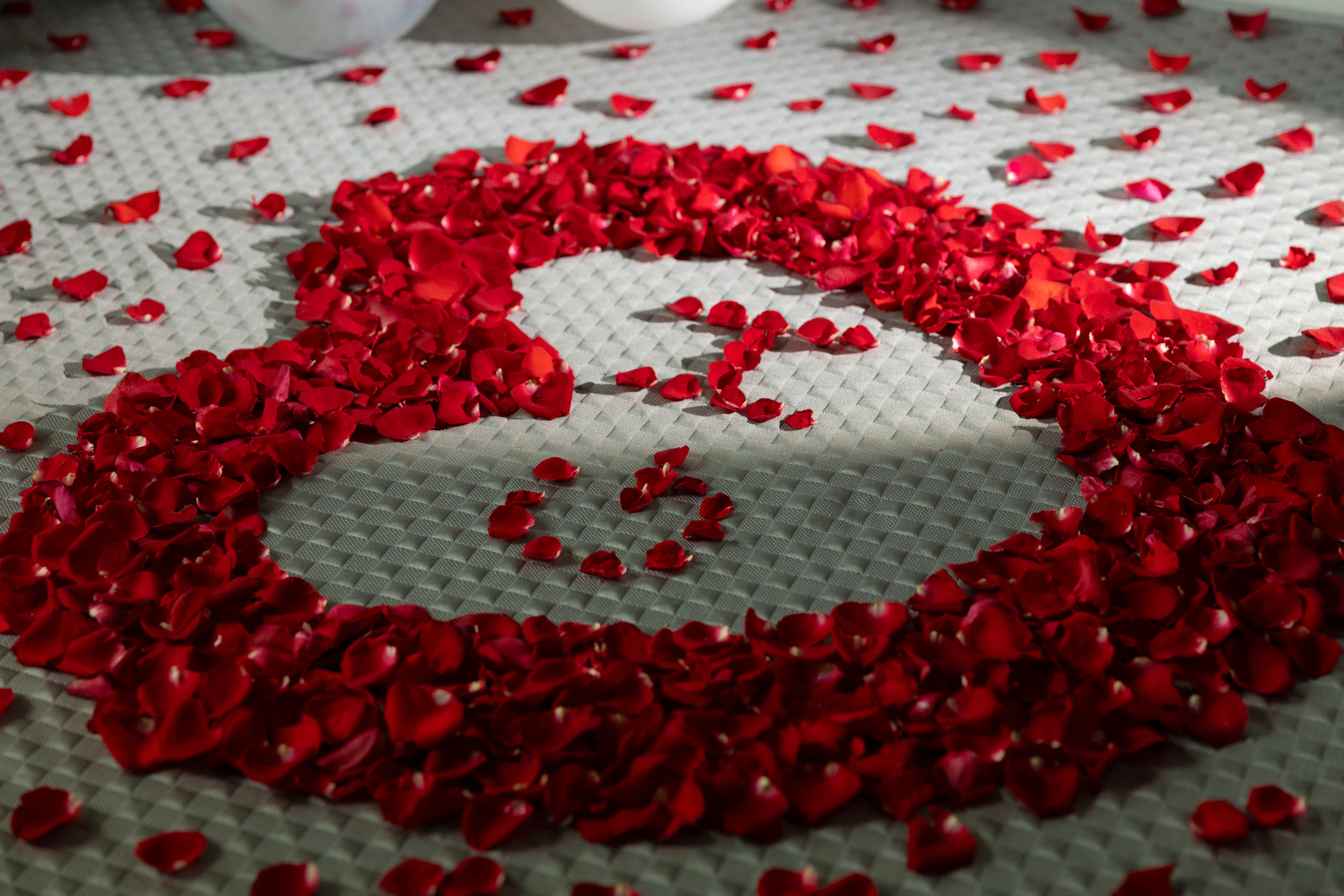 Heart Shape Yellow Flower Petals · Free Stock Photo