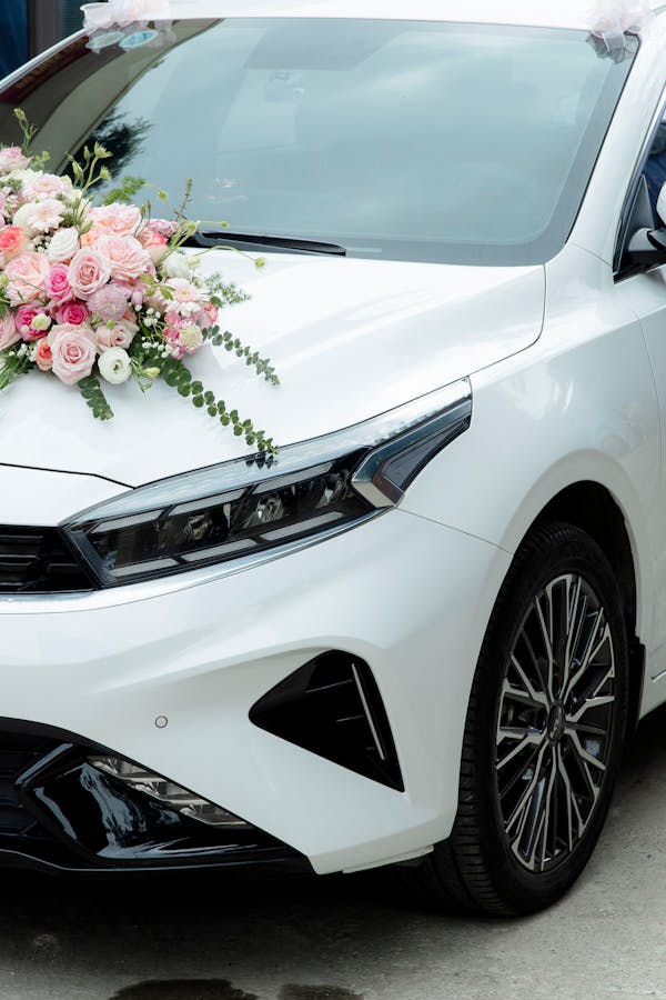 Bridal Car Photos, Download The BEST Free Bridal Car Stock Photos & HD ...