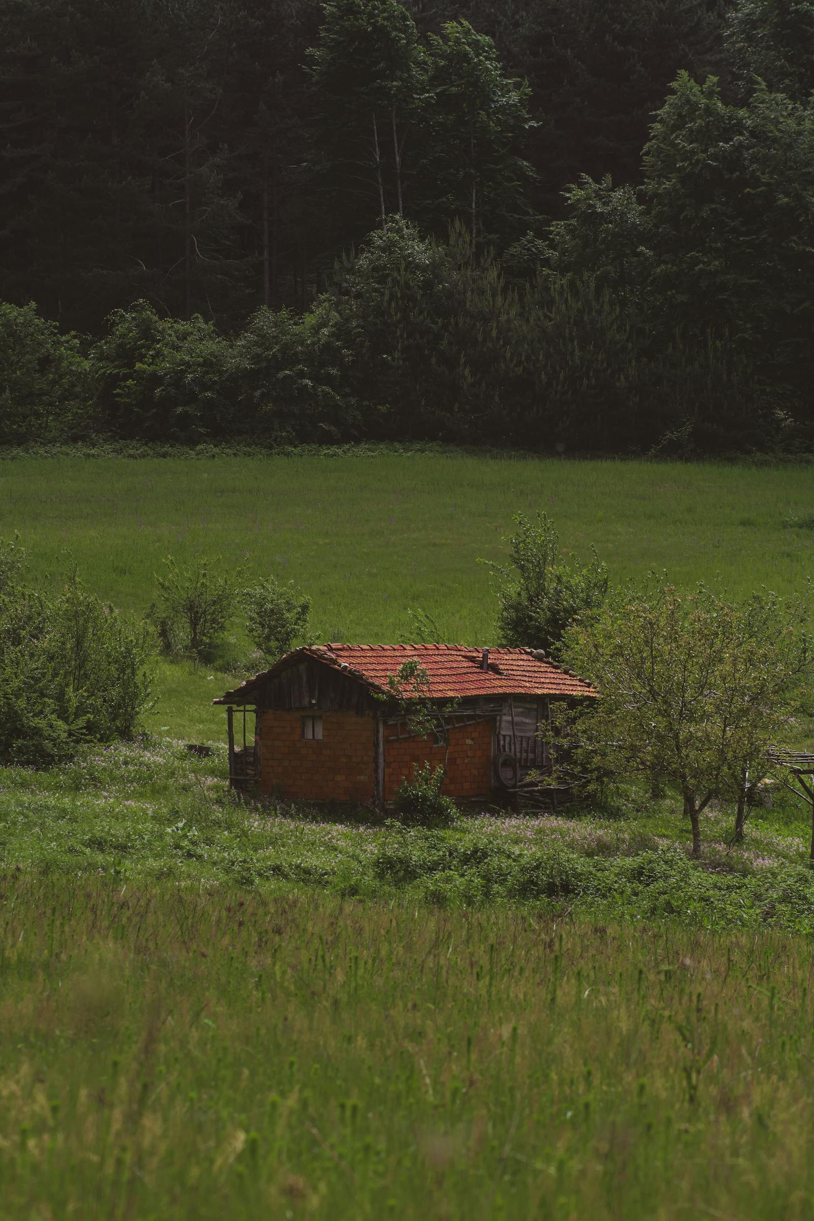 Hous Photos, Download The BEST Free Hous Stock Photos & HD Images