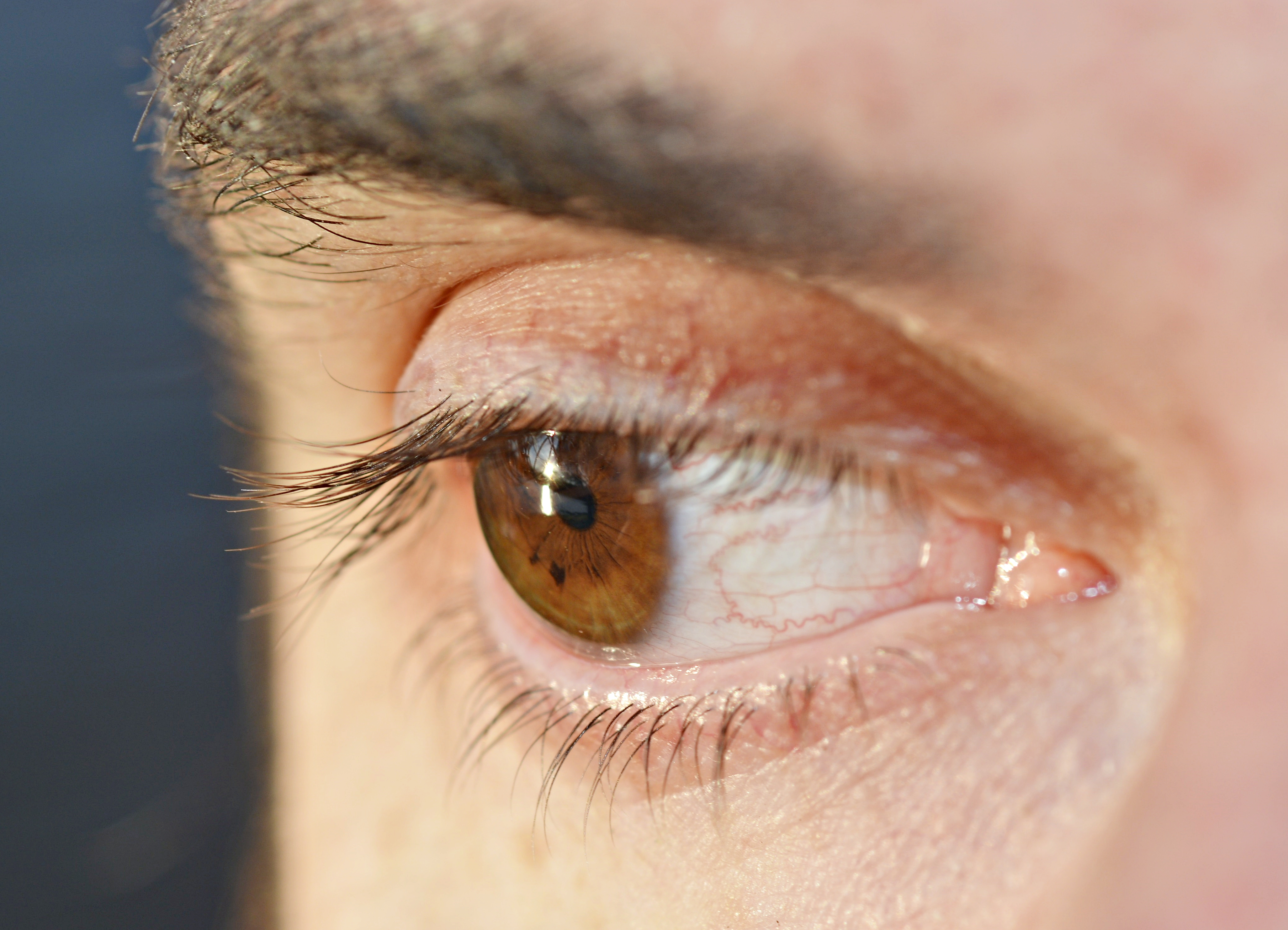 Close-up of a Brown Eye of a Man · Free Stock Photo