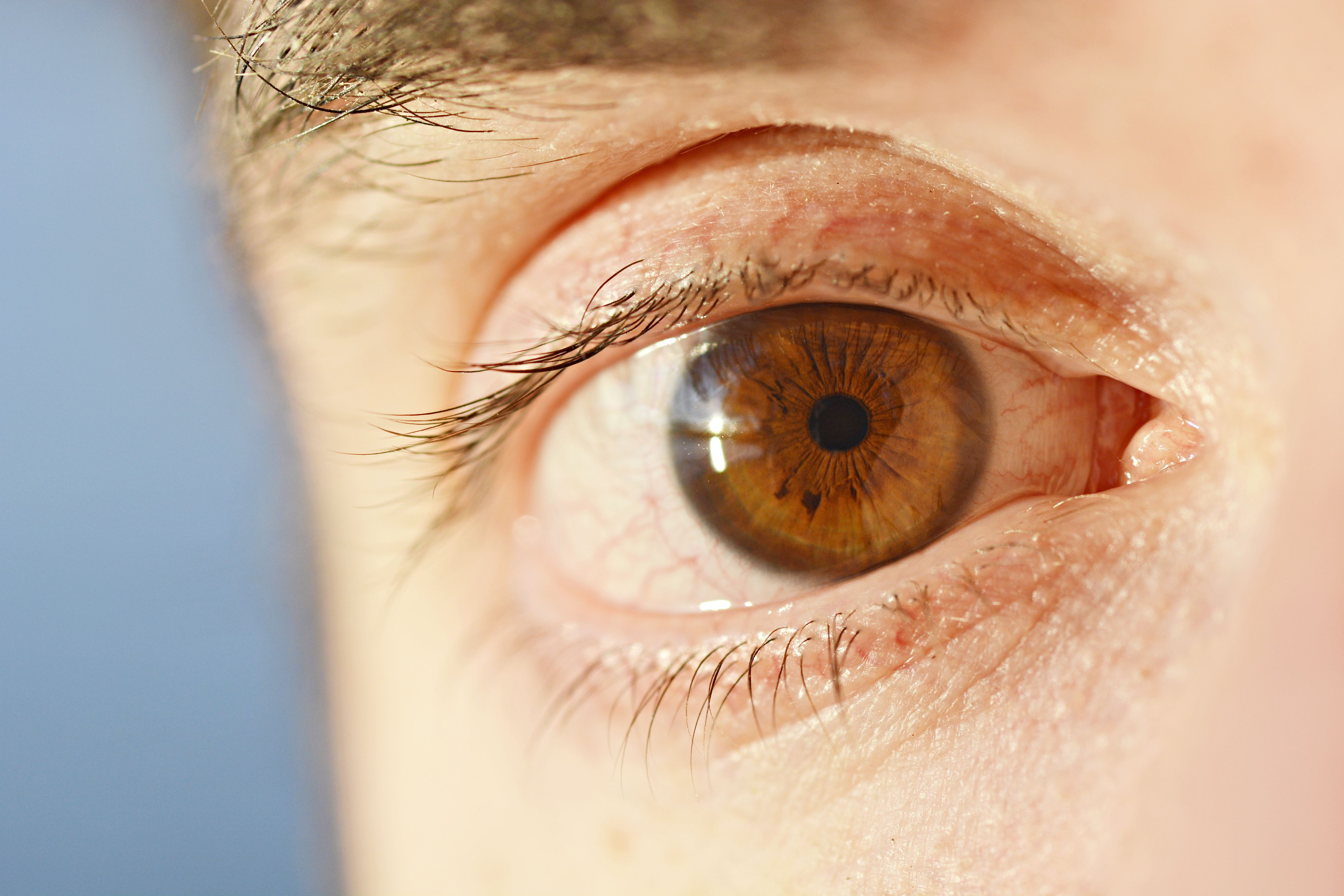 Mans Brown Eye · Free Stock Photo