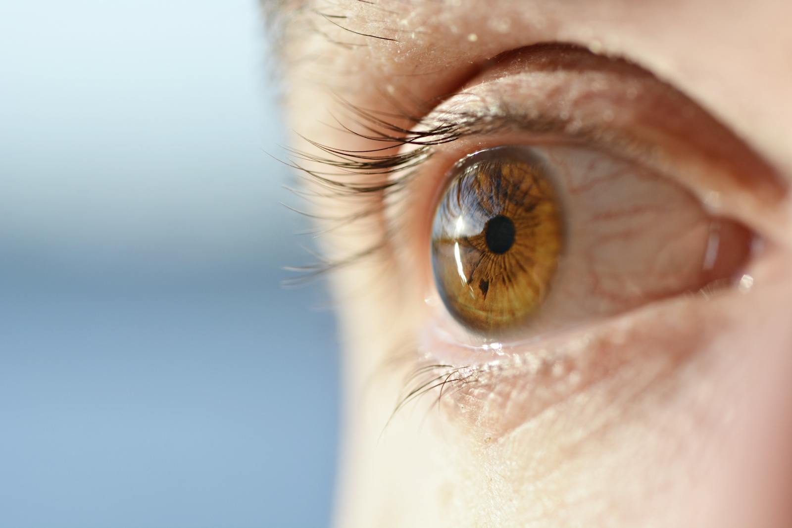 Eye Blinking Photos, Download The BEST Free Eye Blinking Stock Photos ...