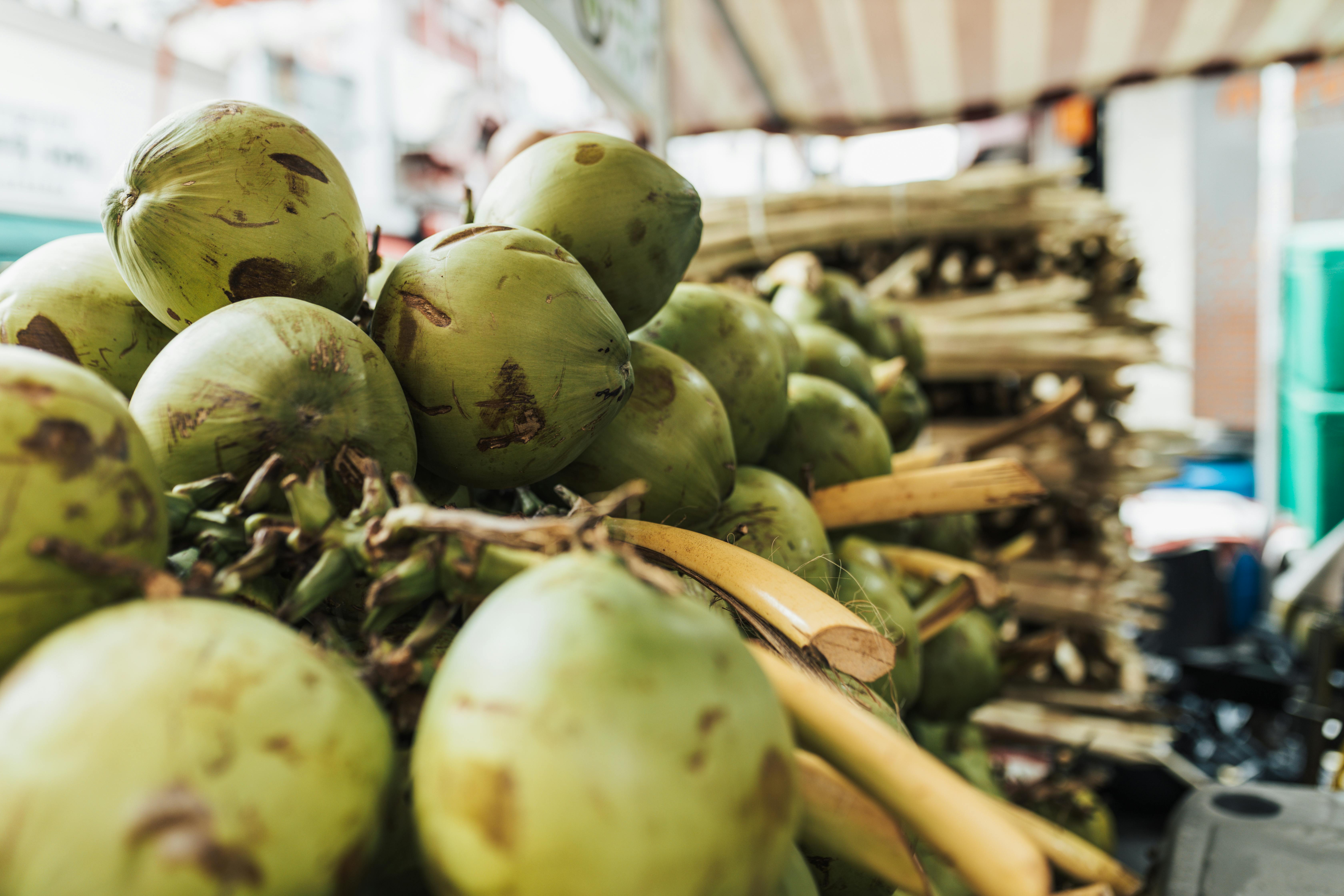 Close-up of a Pile of Coconuts at a Food Stall · Free Stock Photo