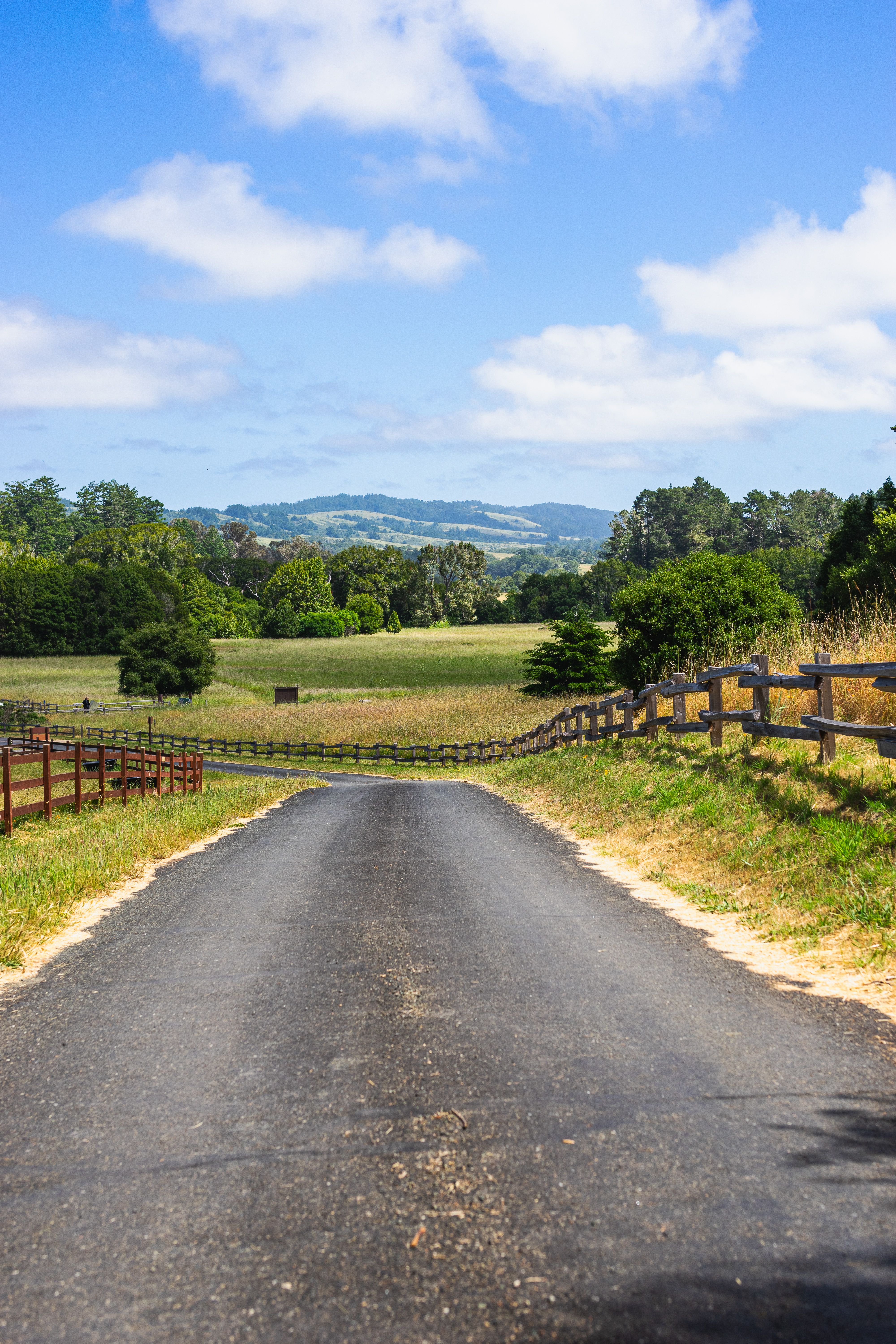 Asphalt Road Between Green Grass · Free Stock Photo