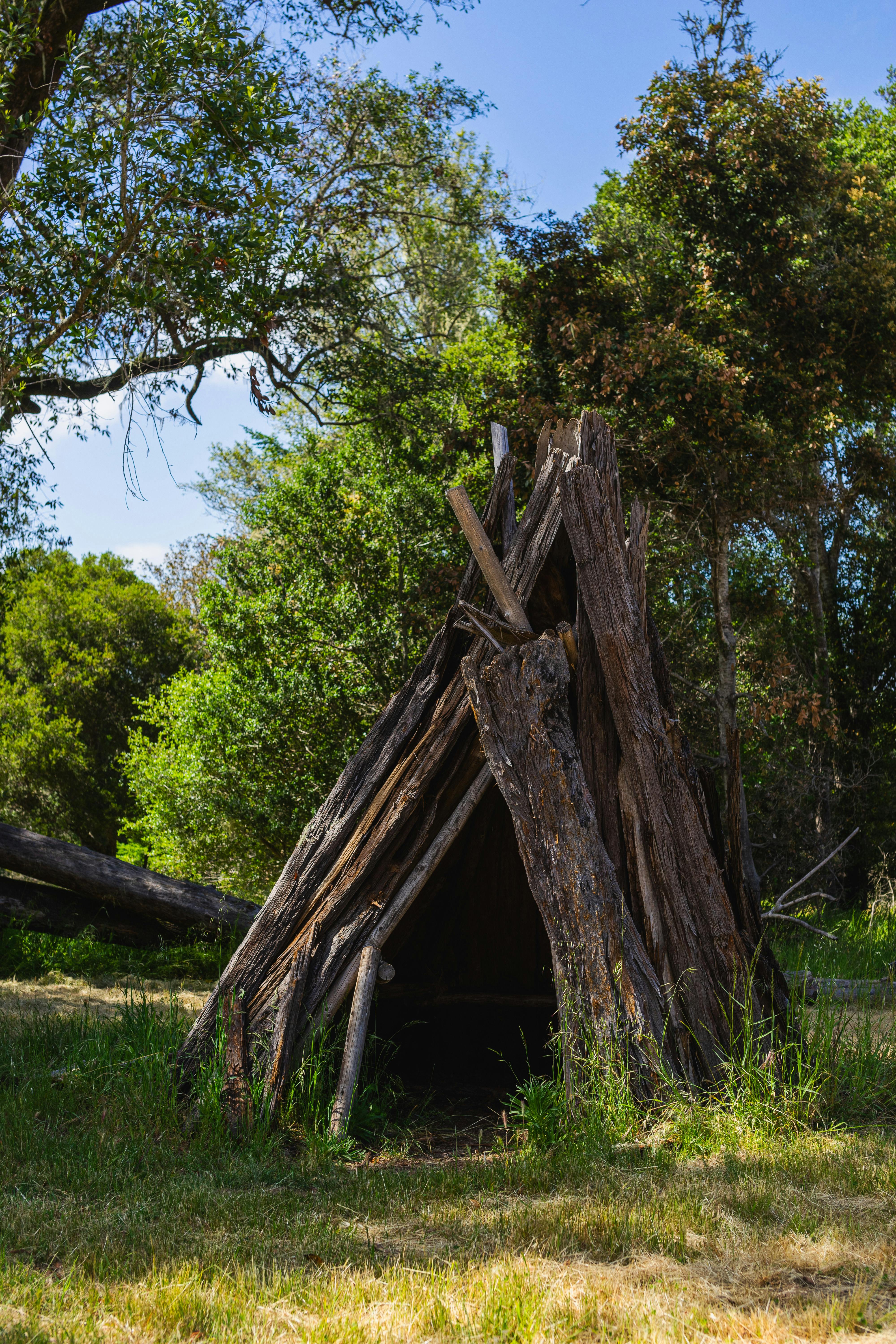 Wooden Teepee Surrounded by Trees · Free Stock Photo